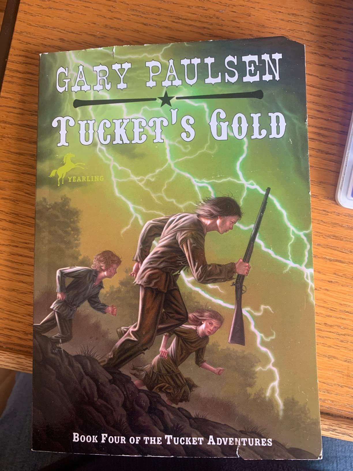 Tucket's Gold (The Francis Tucket Adventures Book 4) - Kindle edition ...