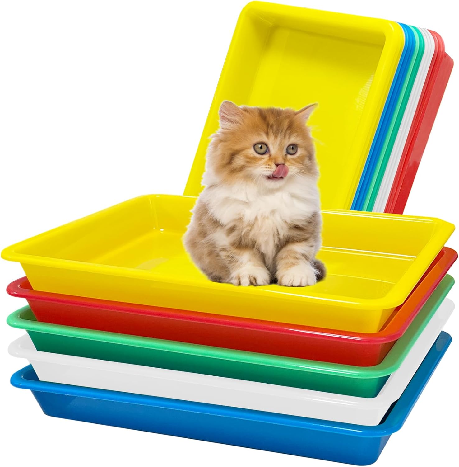 Amazon.com : Hlimior 15Pcs Small Kitten Litter Box, Shallow Kitten ...
