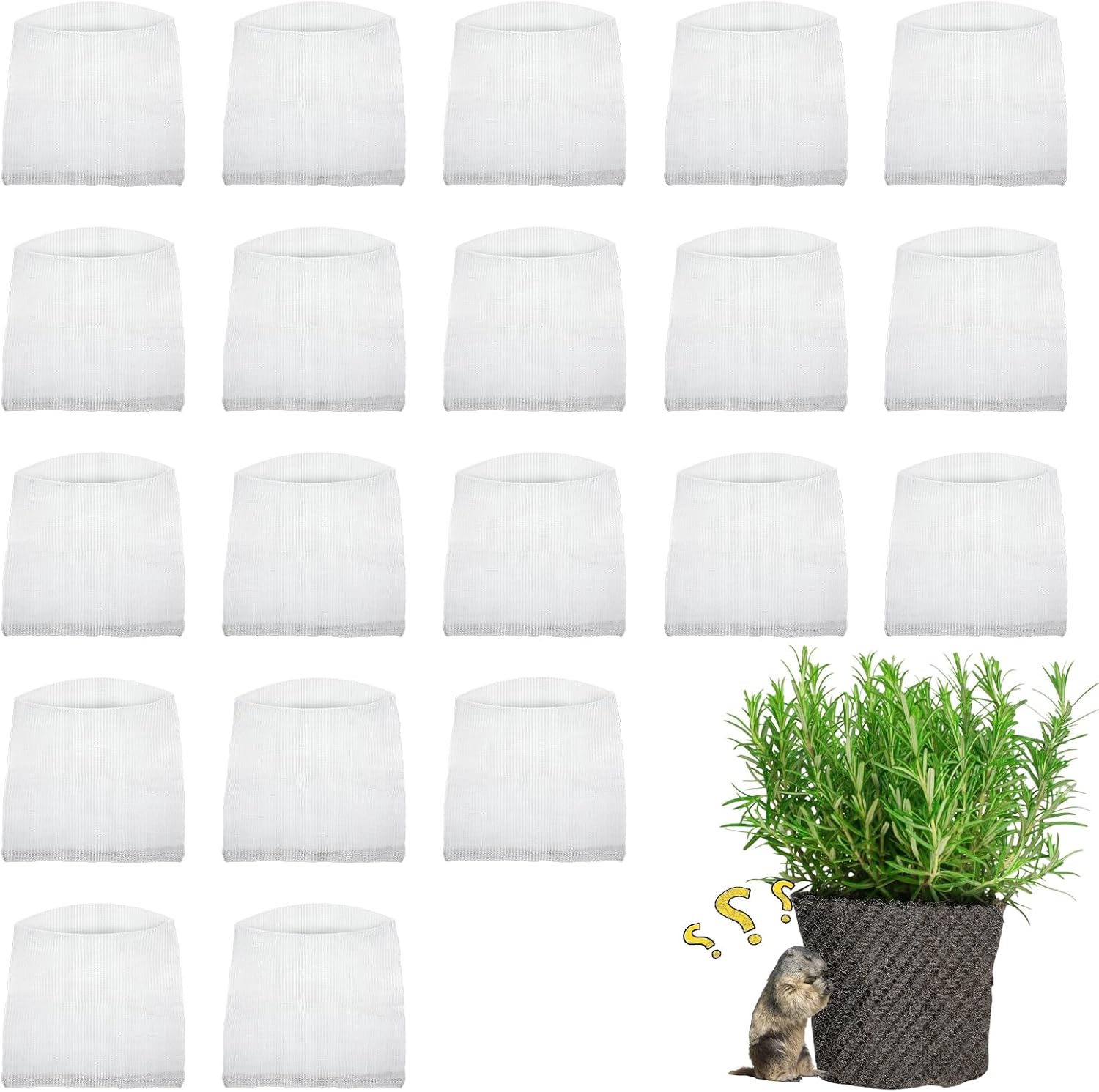 Amazon.com : 20PCS Stainless Steel Plant Root Guard Baskets, 1 Gallon ...