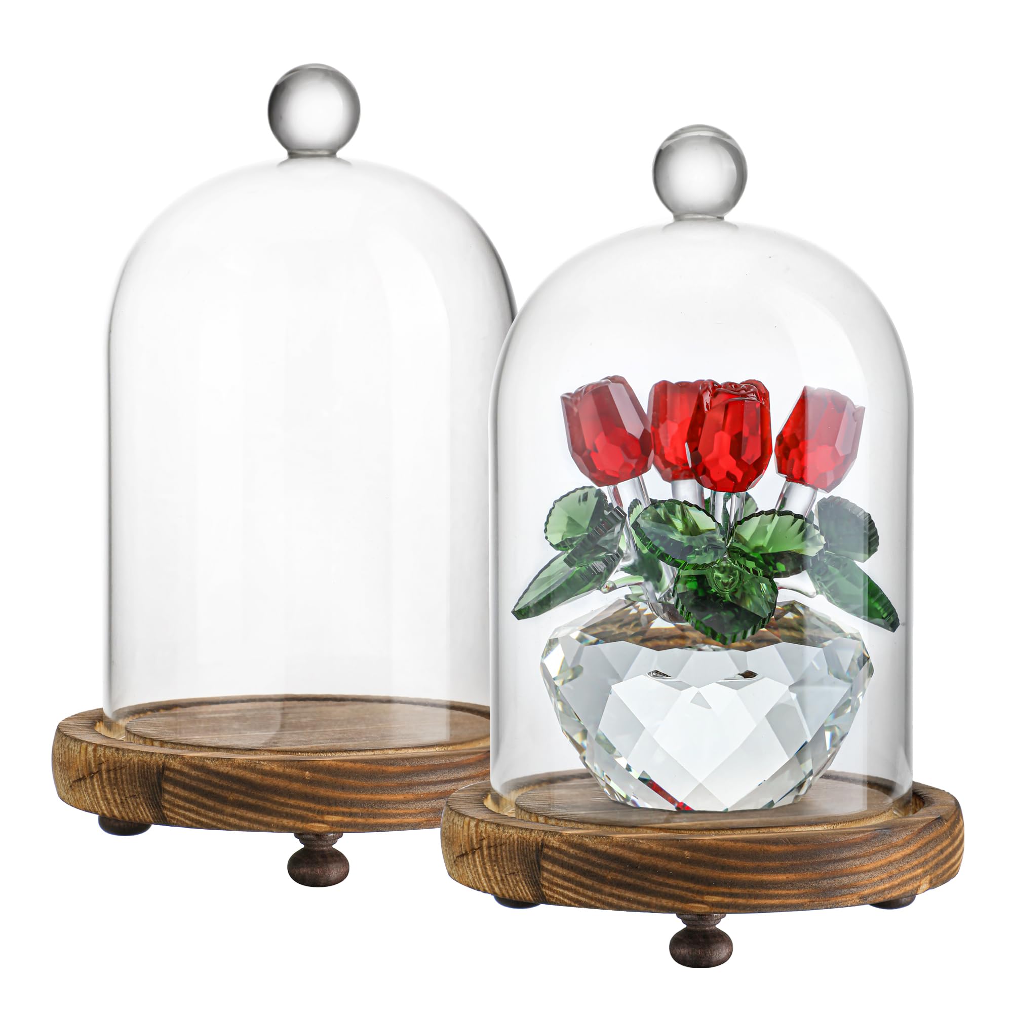 Amazon.com: ZEERSHEE 2pcs Glass Cloche Display Dome 6.4x3.7 inch ...