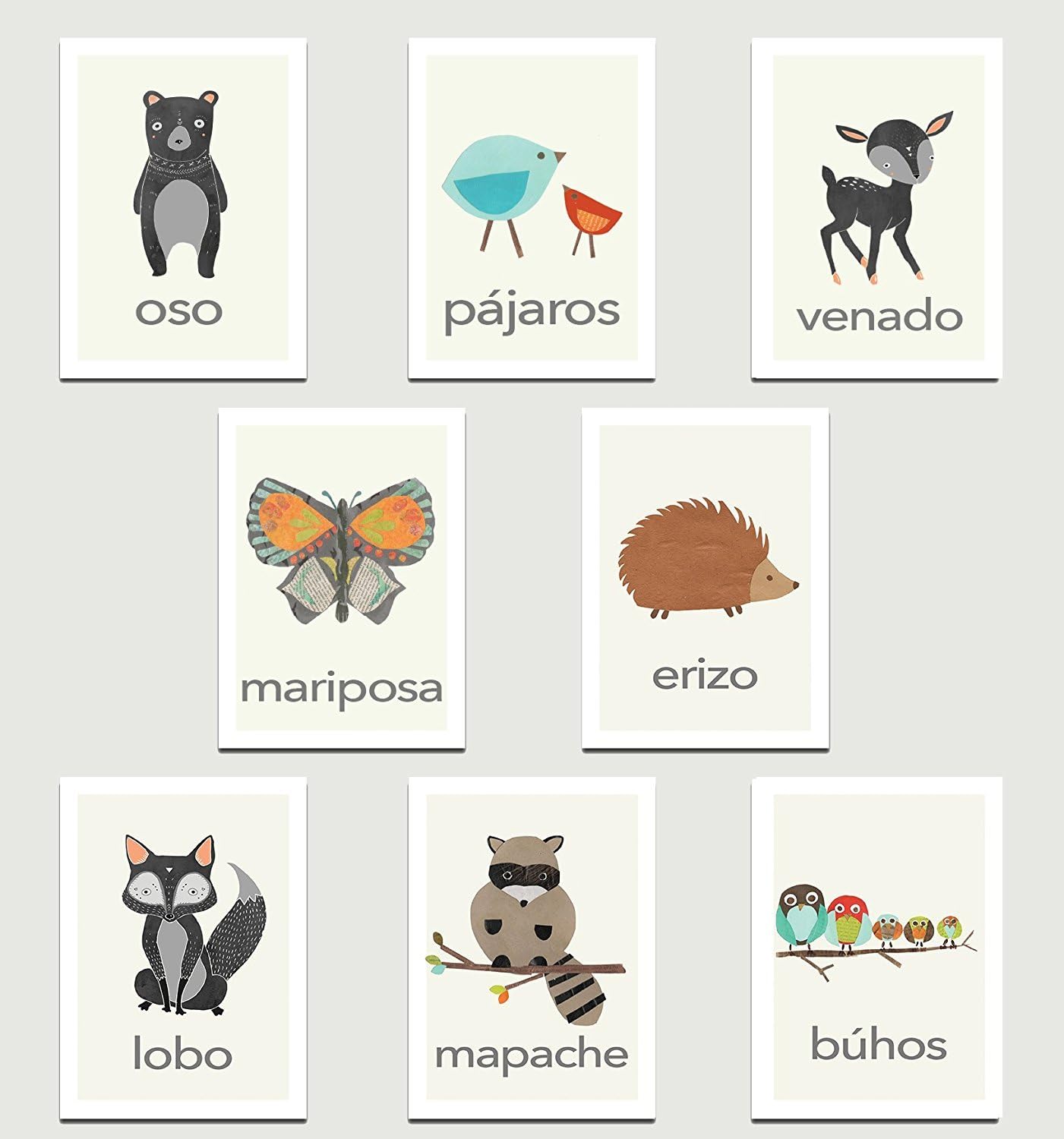 Amazon.com: Nature Animals in Spanish Mini Collection Wall Card Prints ...