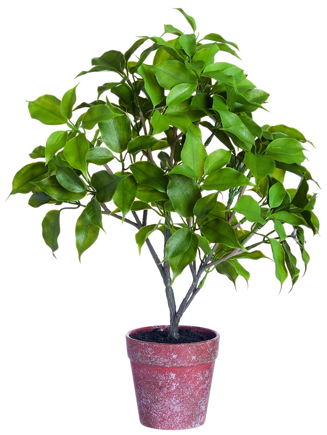 Amazon.com: Silk Décor 15.5" Pomelo Leaf Plant in Pot : Patio, Lawn ...