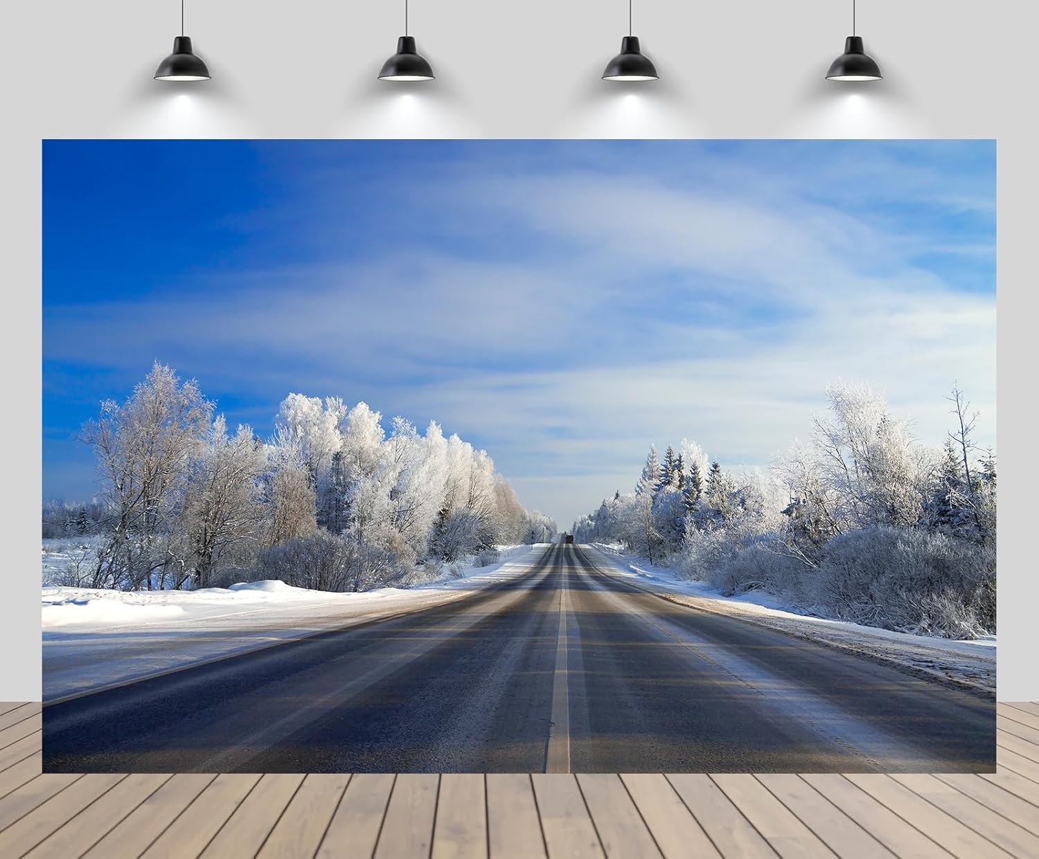 Amazon.com : CHNYWORK 12x8ft Winter Landscape Backdrop for Photography ...