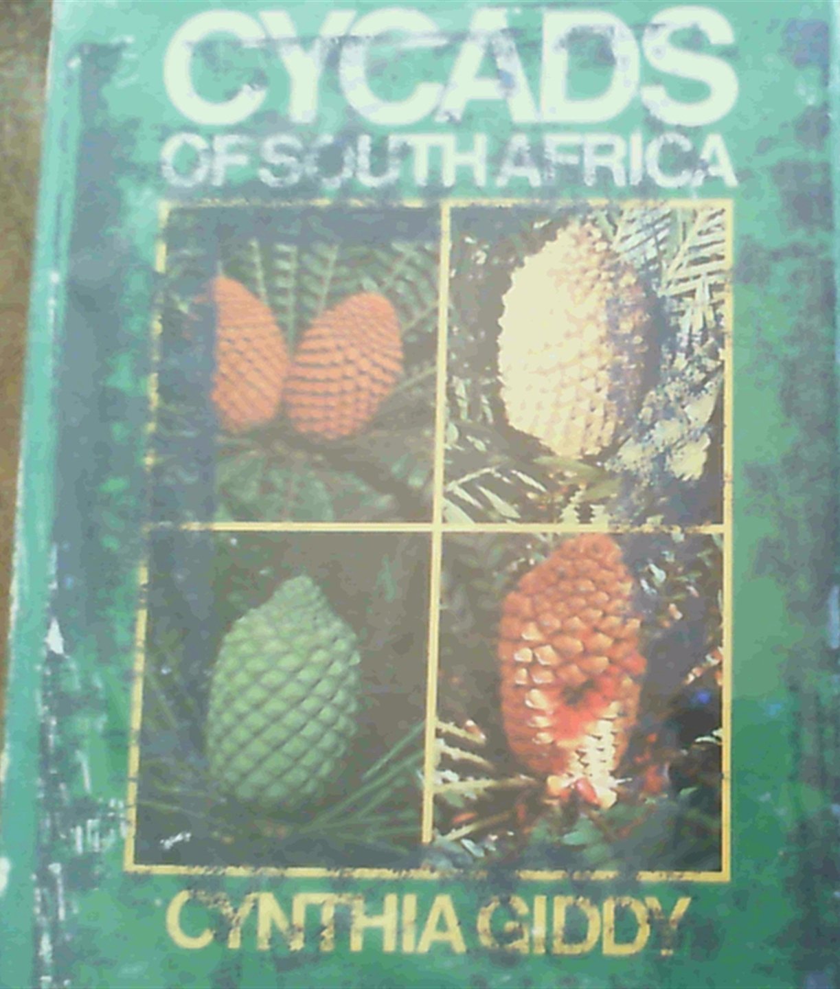 Cycads of South Africa: GIDDY, Cynthia. Illustrations by Barbara Jeppe ...