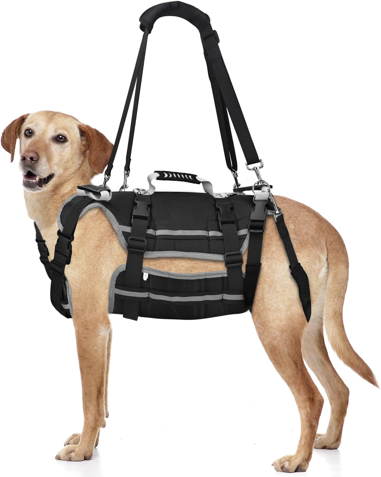 Amazon.com: PetEase Senior Dog Lift Harness - Large, Rear Lift Support ...