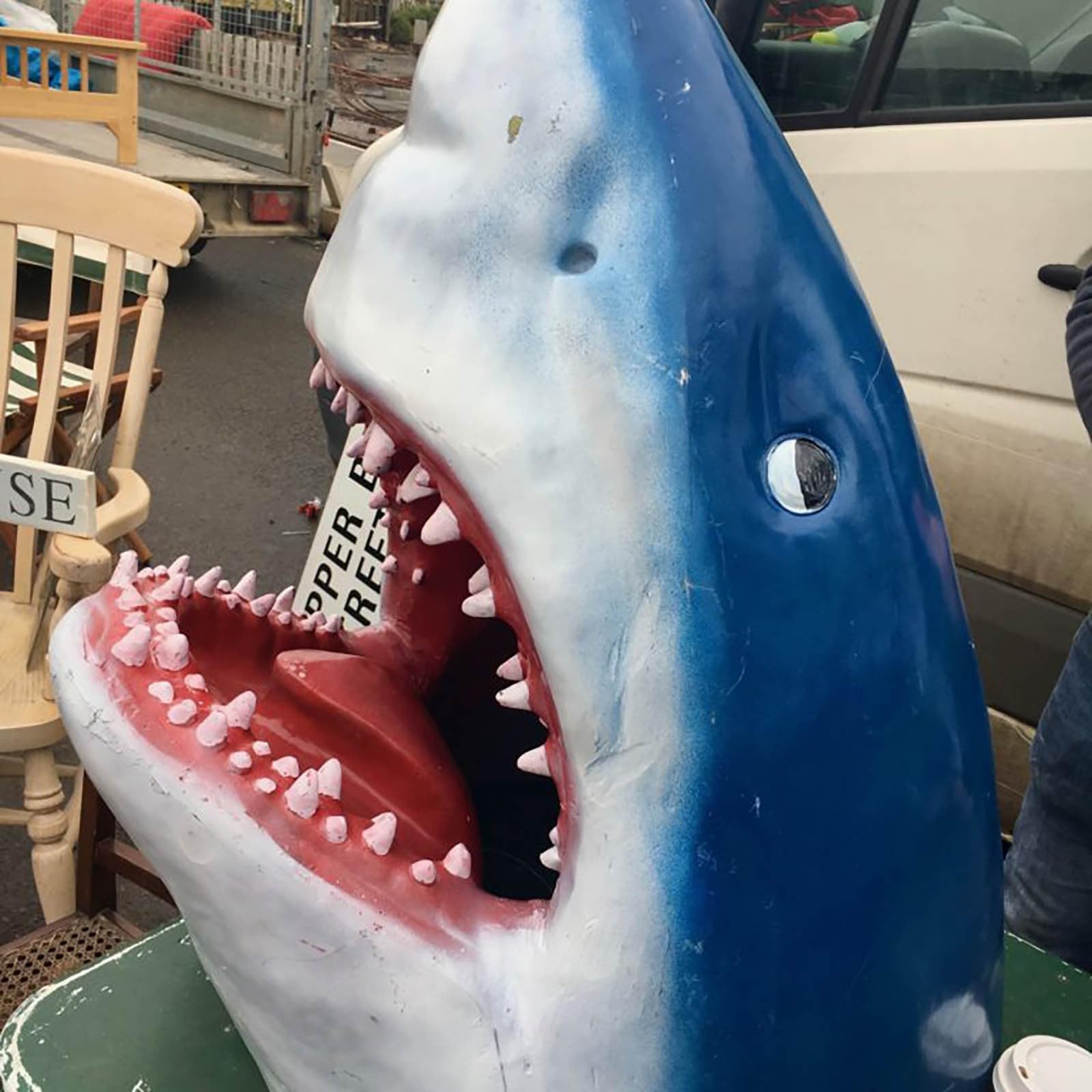 Amazon.com: Upgrade Unique Great White Shark Head Sculpture, Wall ...
