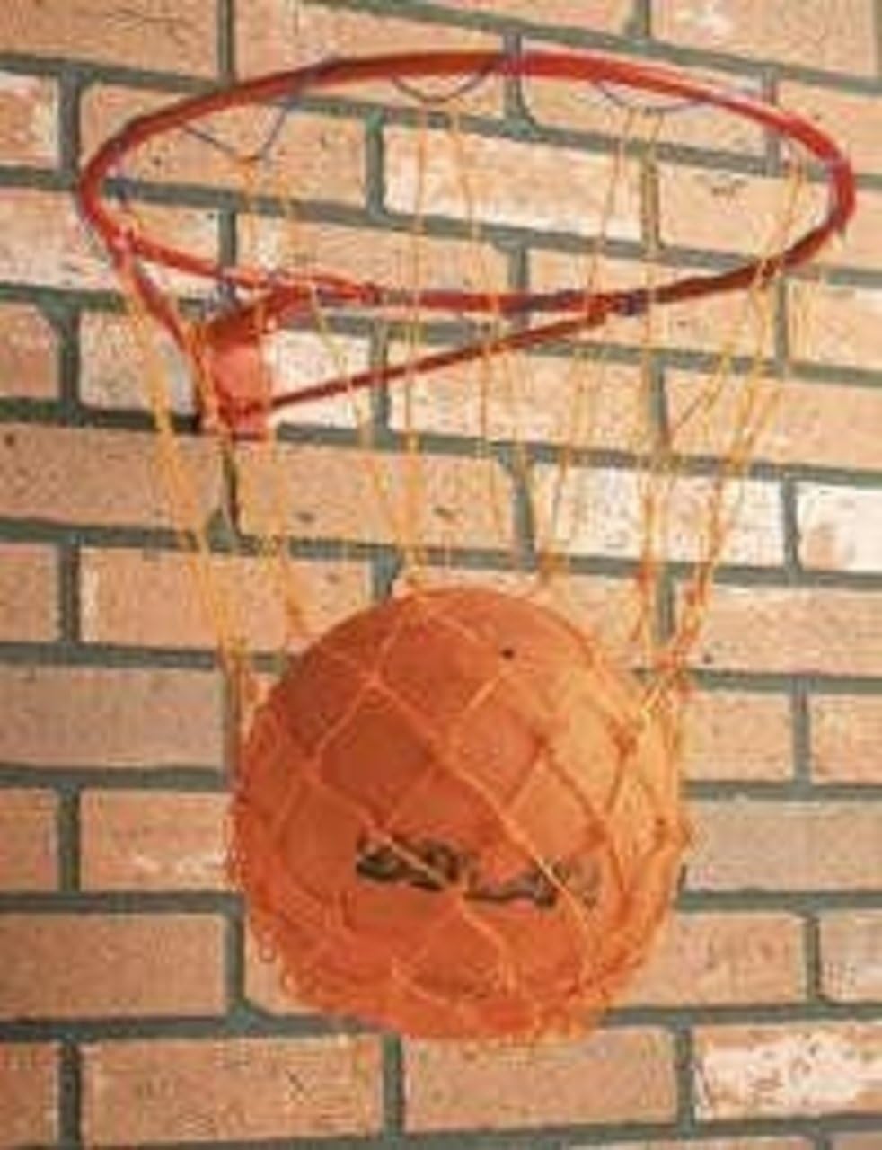 Netball Sports Outdoor Garden Games Wall Mounted Hoop Ring & Net Set ...