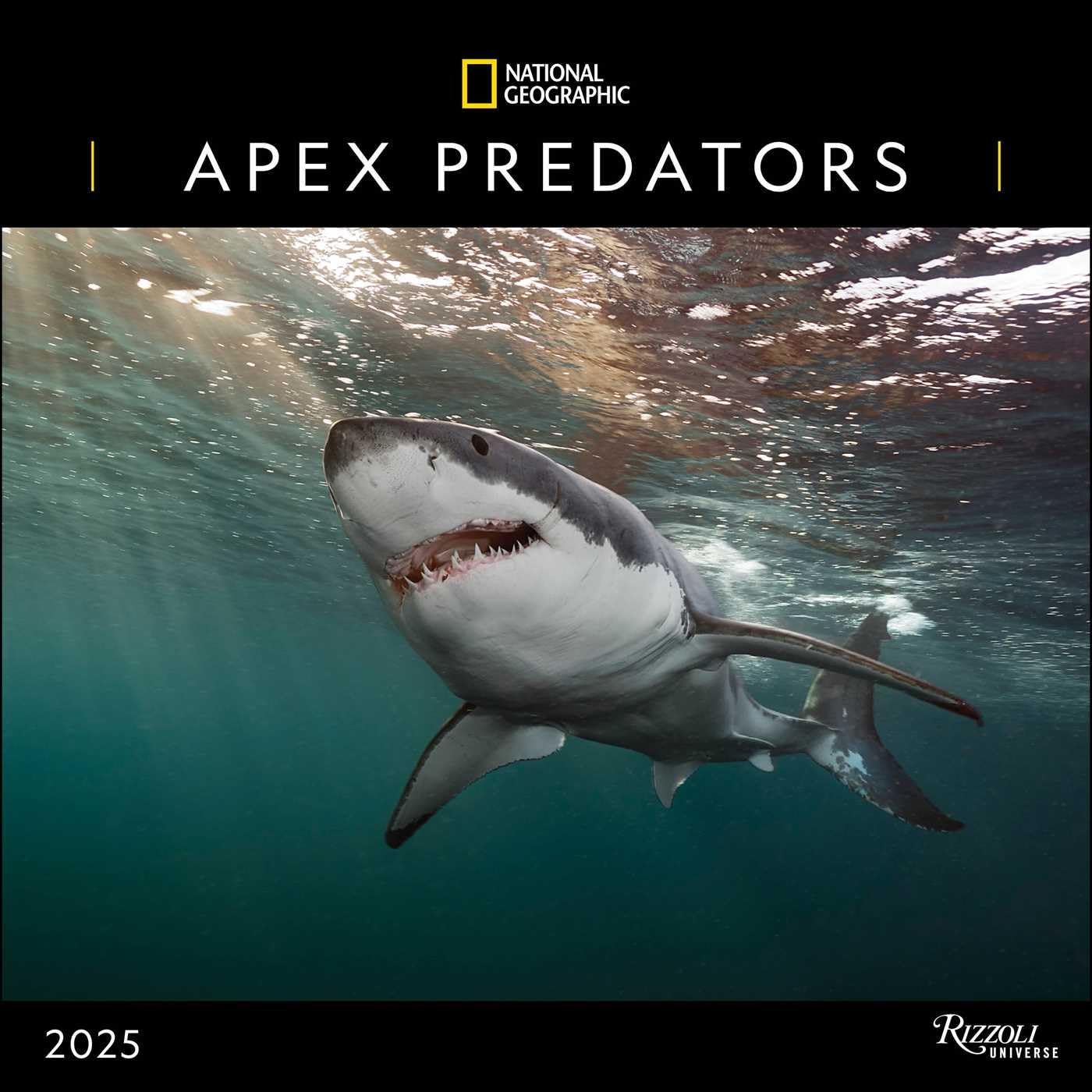 Amazon.com: National Geographic: Apex Predators 2025 Wall Calendar ...
