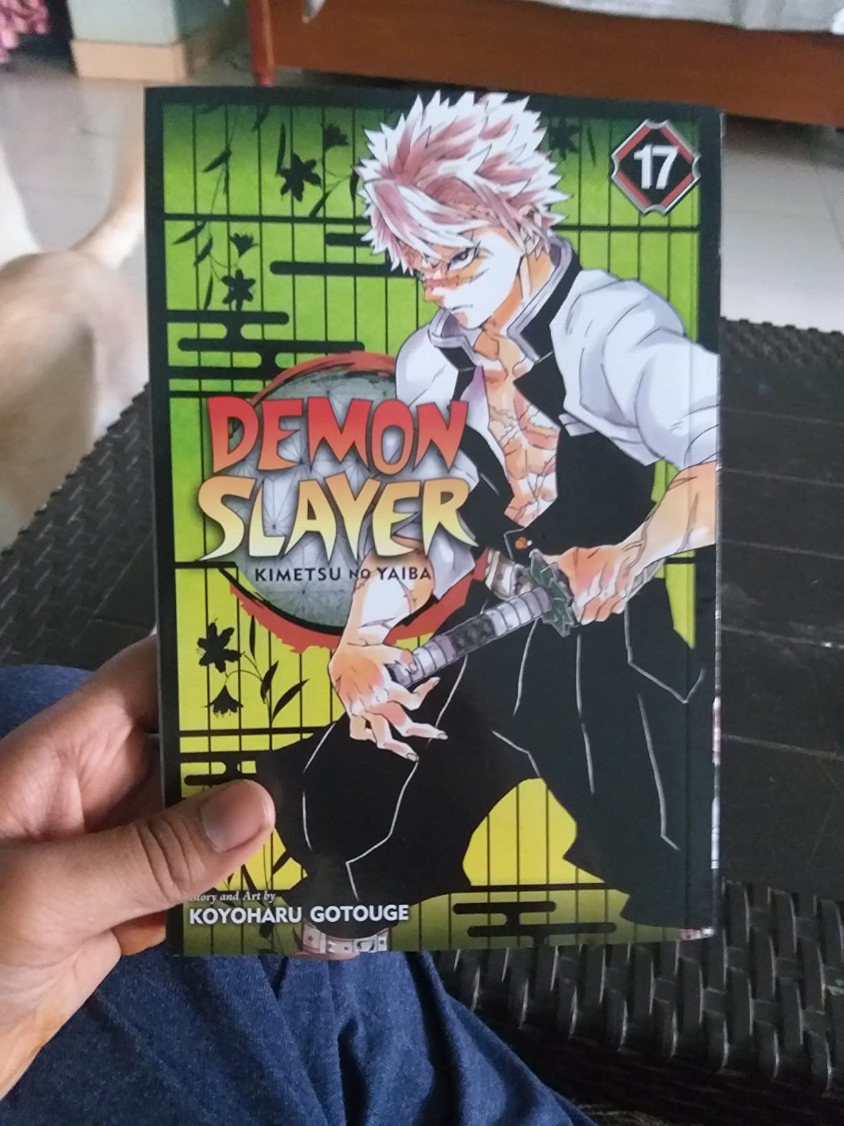 Demon Slayer: Kimetsu No Yaiba 17 : Gotouge, Koyoharu: Amazon.in: Books