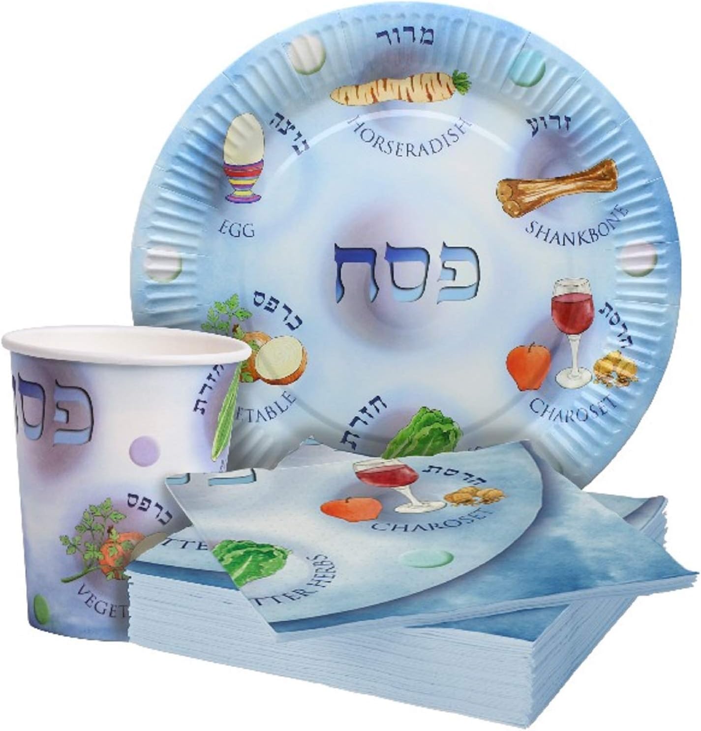 Amazon.com: The Dreidel Company Passover Disposable Seder Plate Set ...
