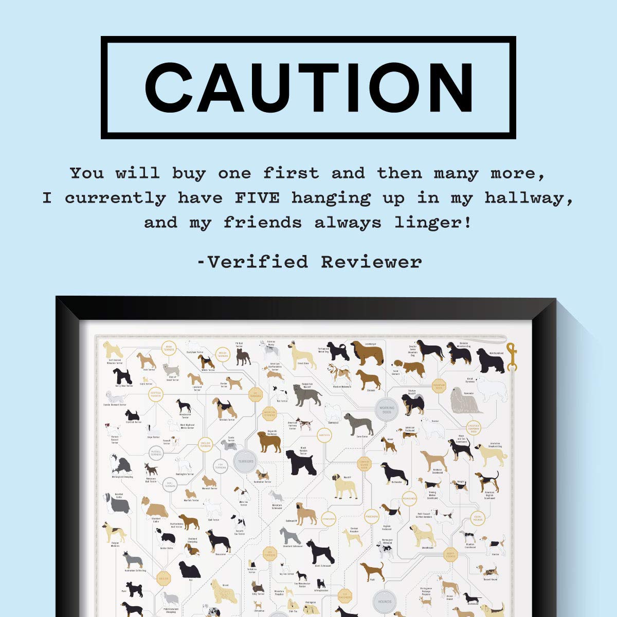 Pop Chart: Poster Prints (16x20) - Dog Infographic - Printed on ...