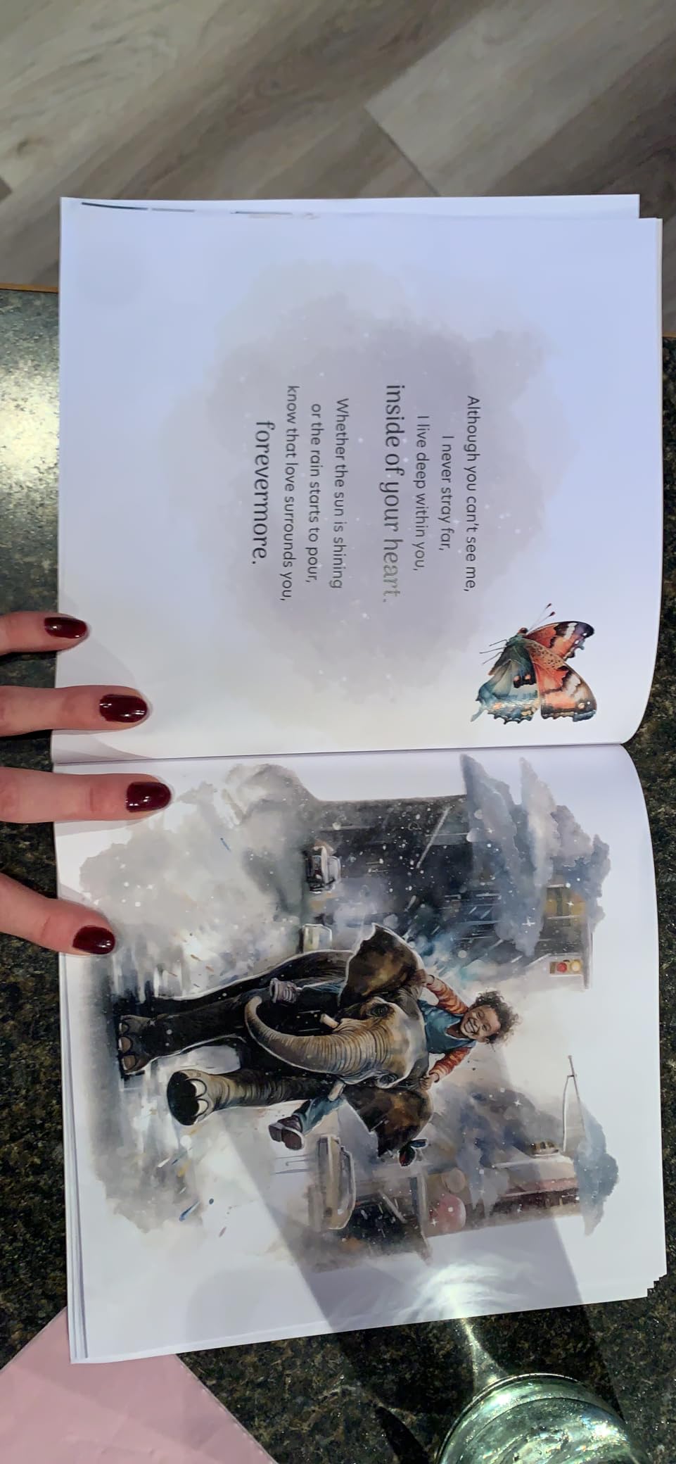 I Wish You Could See: A Must-Have Book for Every Child Who Has Lost ...