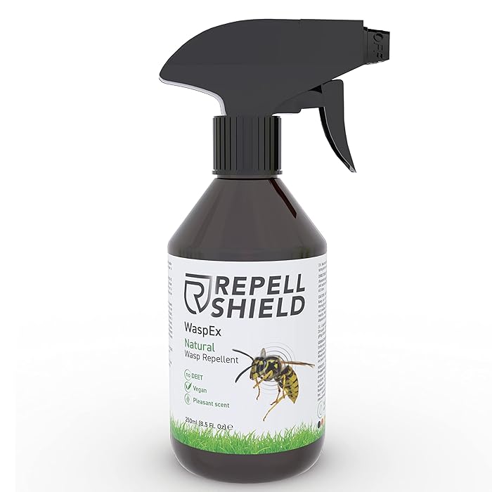 Buy RepellShield Wasp Repellent Spray - Insect Repellent Spray: Wasp ...