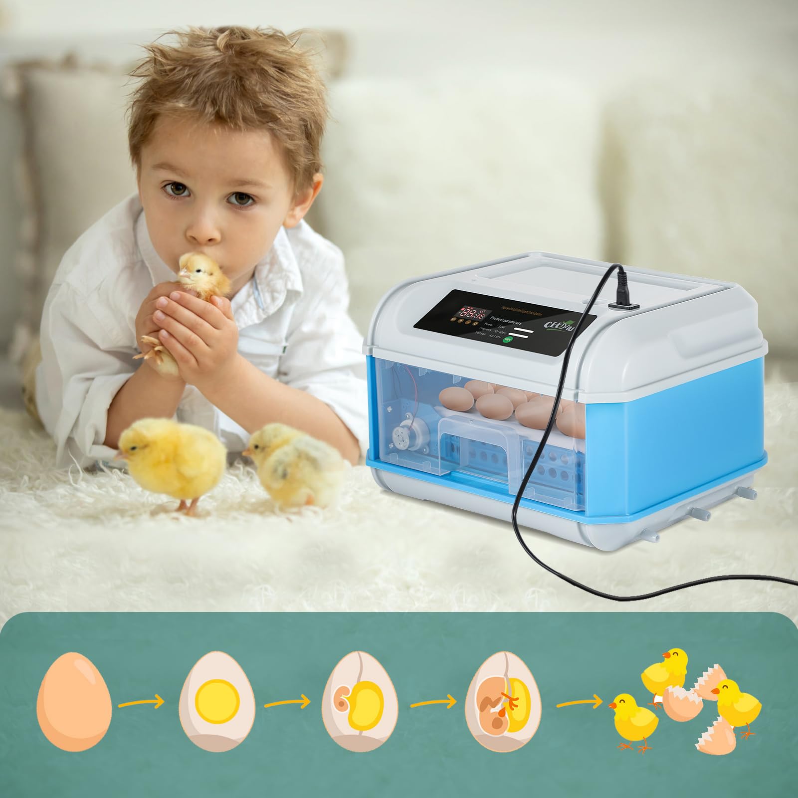 CEED4U incubators for hatching eggs,16 eggs incubator,Automatic Egg ...