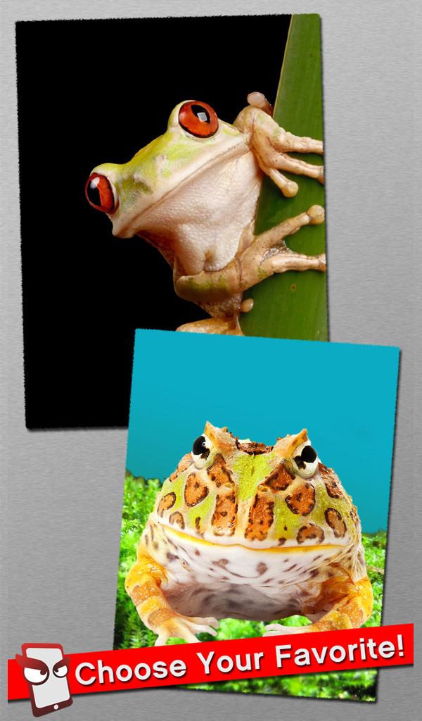 AngryFrog Free - The Angry Frog Simulator - App on Amazon Appstore