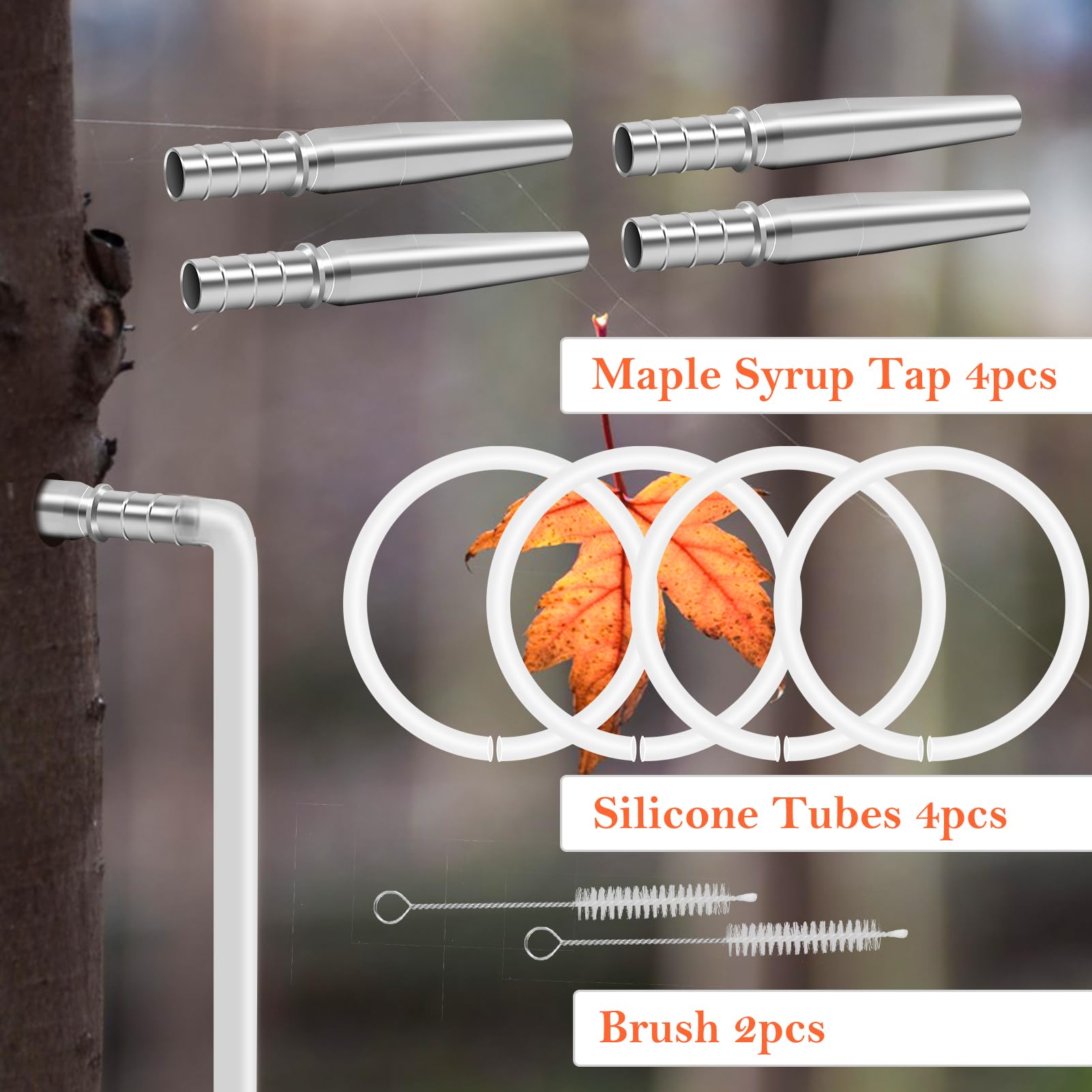 Maple Tap Stainless Steel Tree Taps Maple Syrup Tapping Kit - With ...