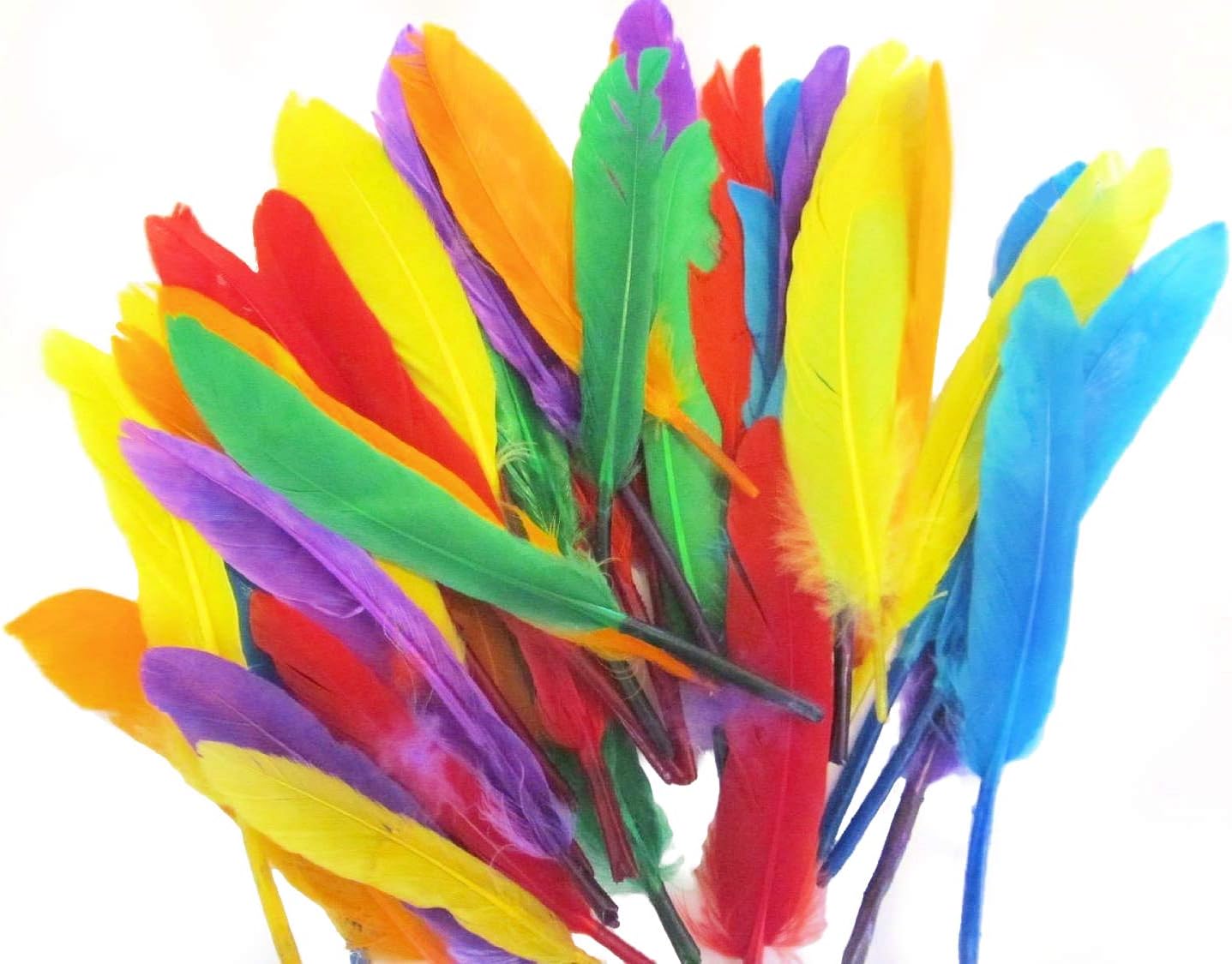 Kids B Crafty Craft Feathers, Quill Feathers, Assorted Colours, 40pcs x ...