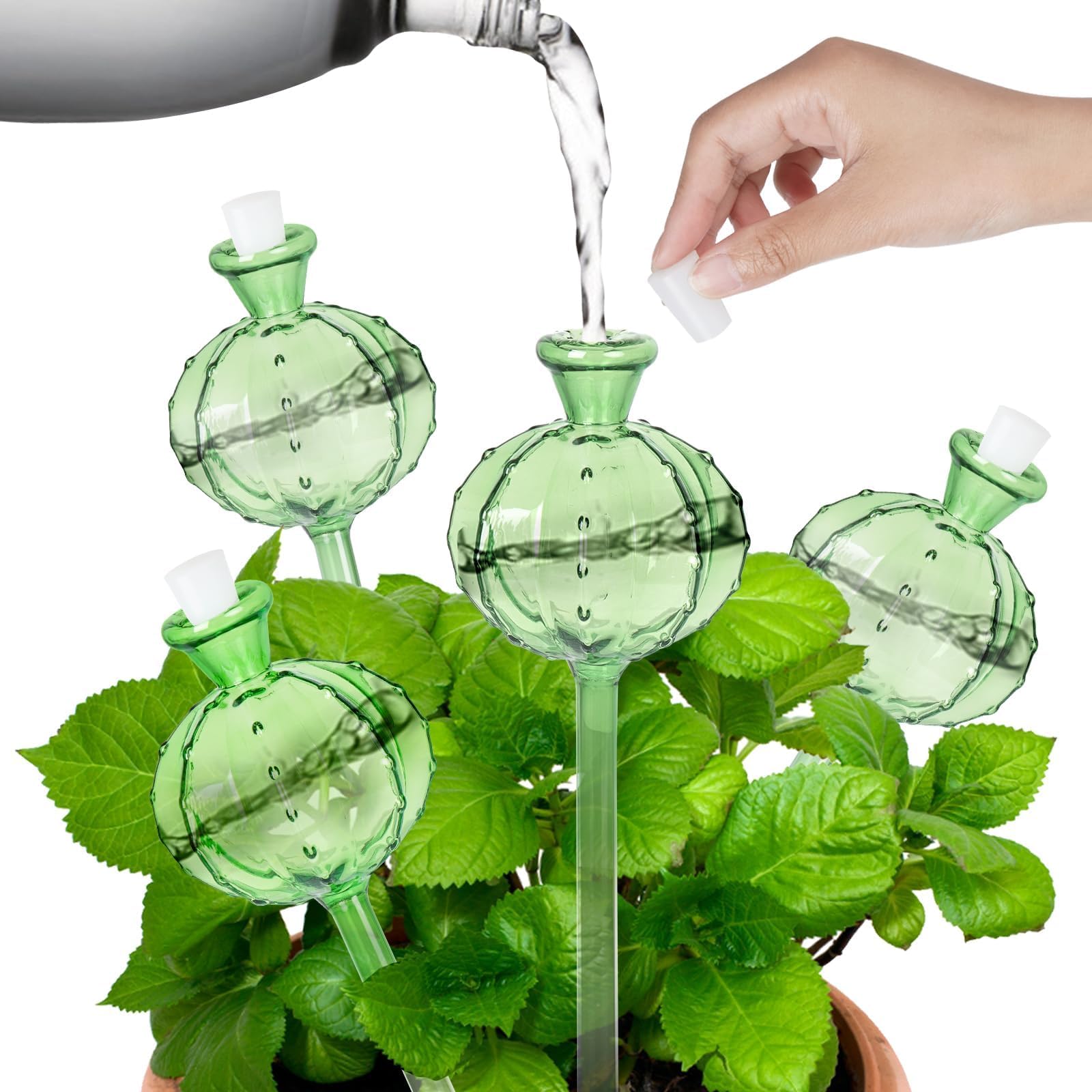 Amazon.com: TAEYONK Plant Watering Globes -6Pack, Plant Watering ...