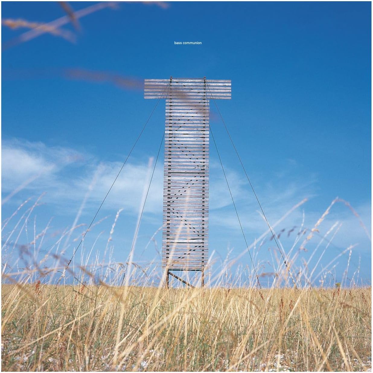 Bass Communion Ii (Vinyl): BASS COMMUNION: Amazon.ca: Music