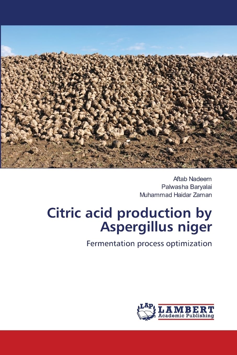 Citric acid production by Aspergillus niger: Fermentation process ...