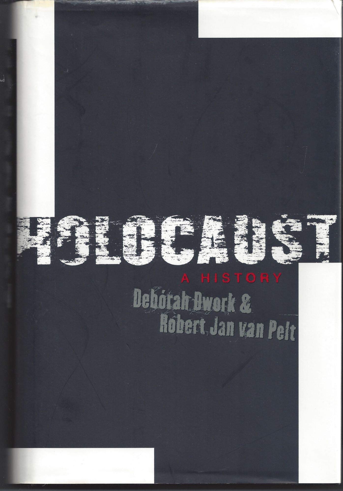 Holocaust: A History: Dwork, Deborah, Van Pelt, Robert Jan ...