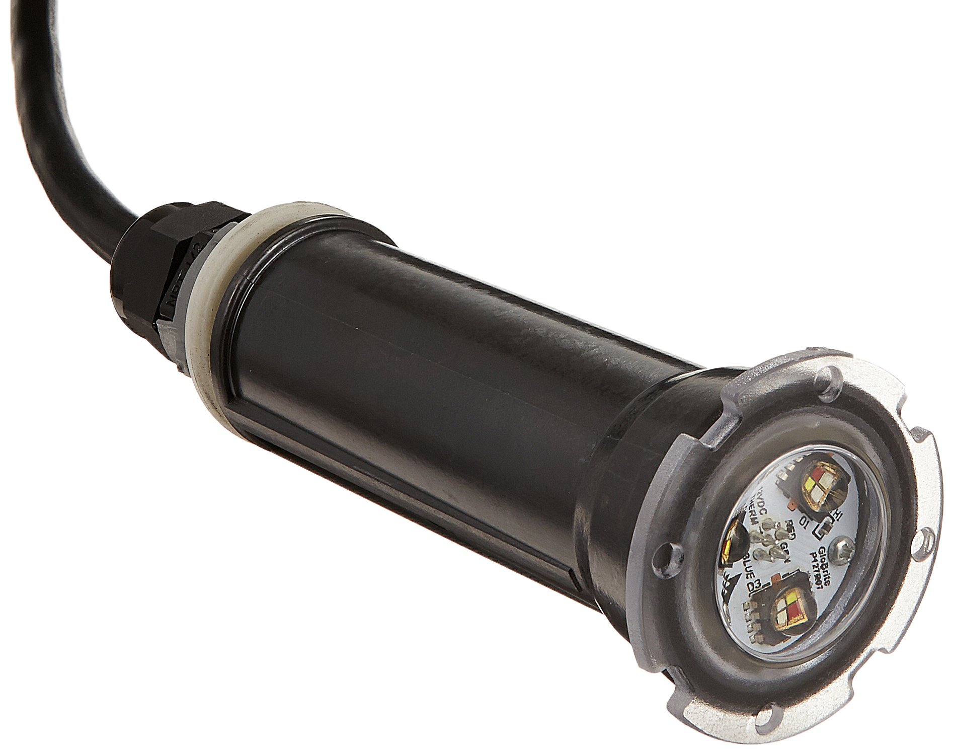 Amazon.com : Pentair Water Pool and Spa 602056 Globrite for Swimming ...