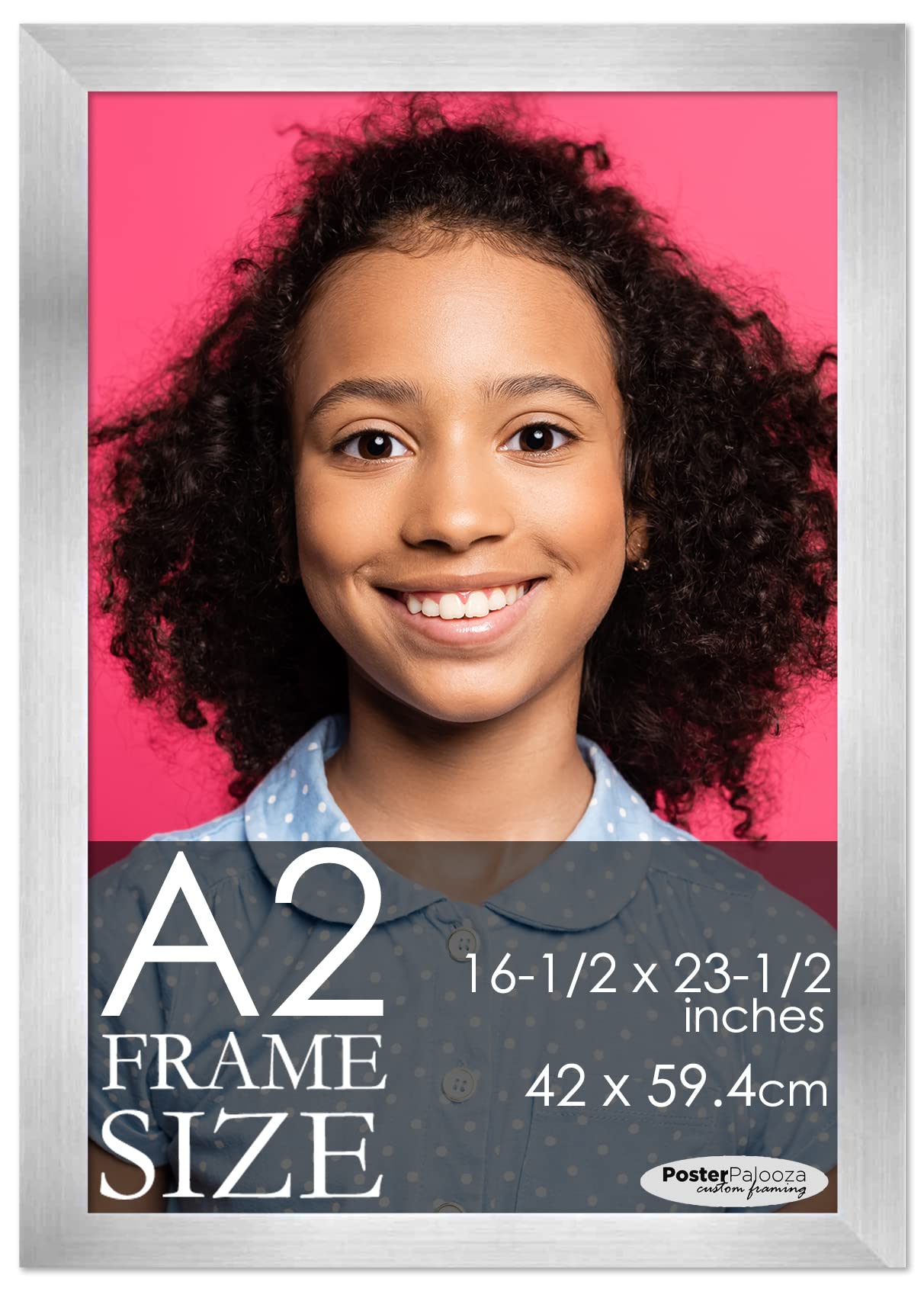 Amazon.com - A2 Frame Silver Modern Minimalist - Wooden 16.5x23.5 Frame ...