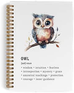Amazon.com : QLMX Owl Spiral Notebook, Night Owl Journal Notebook, Cute ...