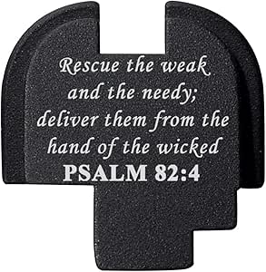 Amazon.com: NDZ Performance Rear Slide Cover Back Plate for Springfield ...