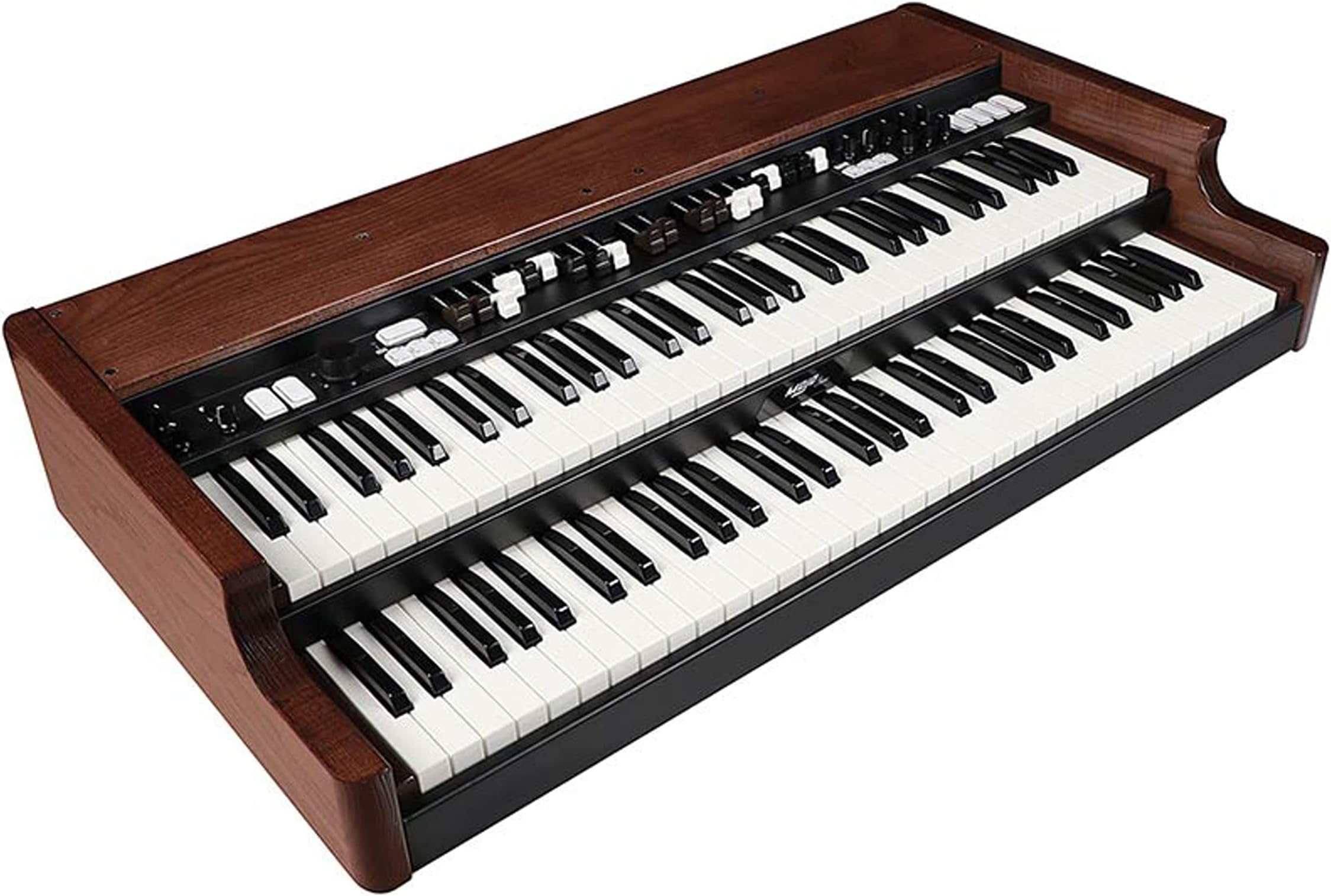 Amazon.com: Hammond M-Solo Portable Organ - Black : Musical Instruments