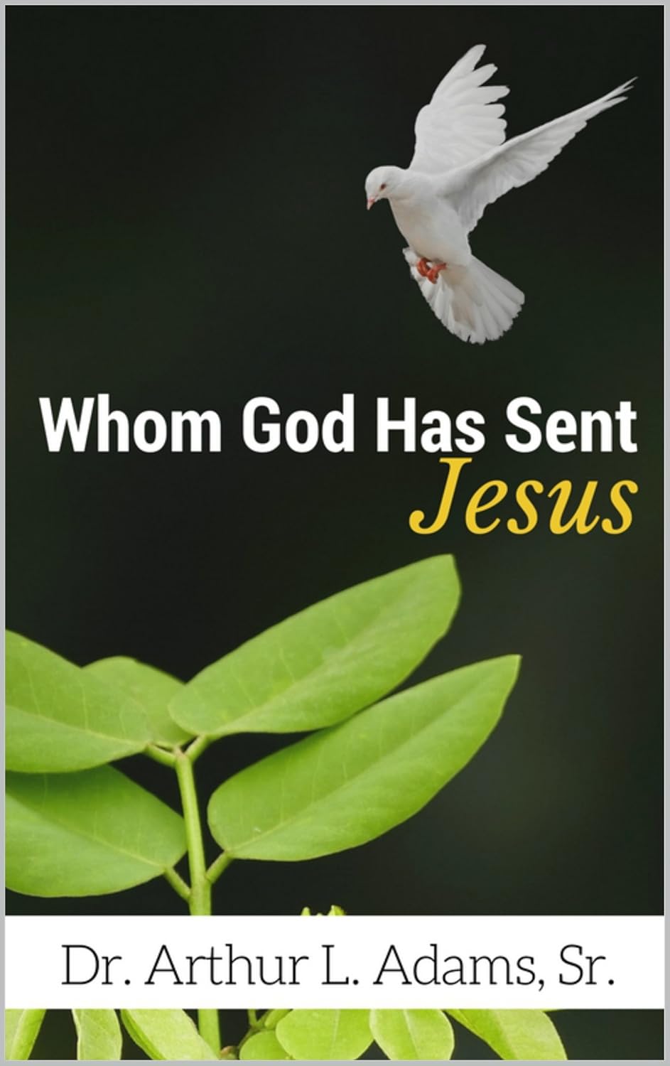 Whom God Has Sent Jesus - Kindle edition by Adams Sr., Arthur L ...