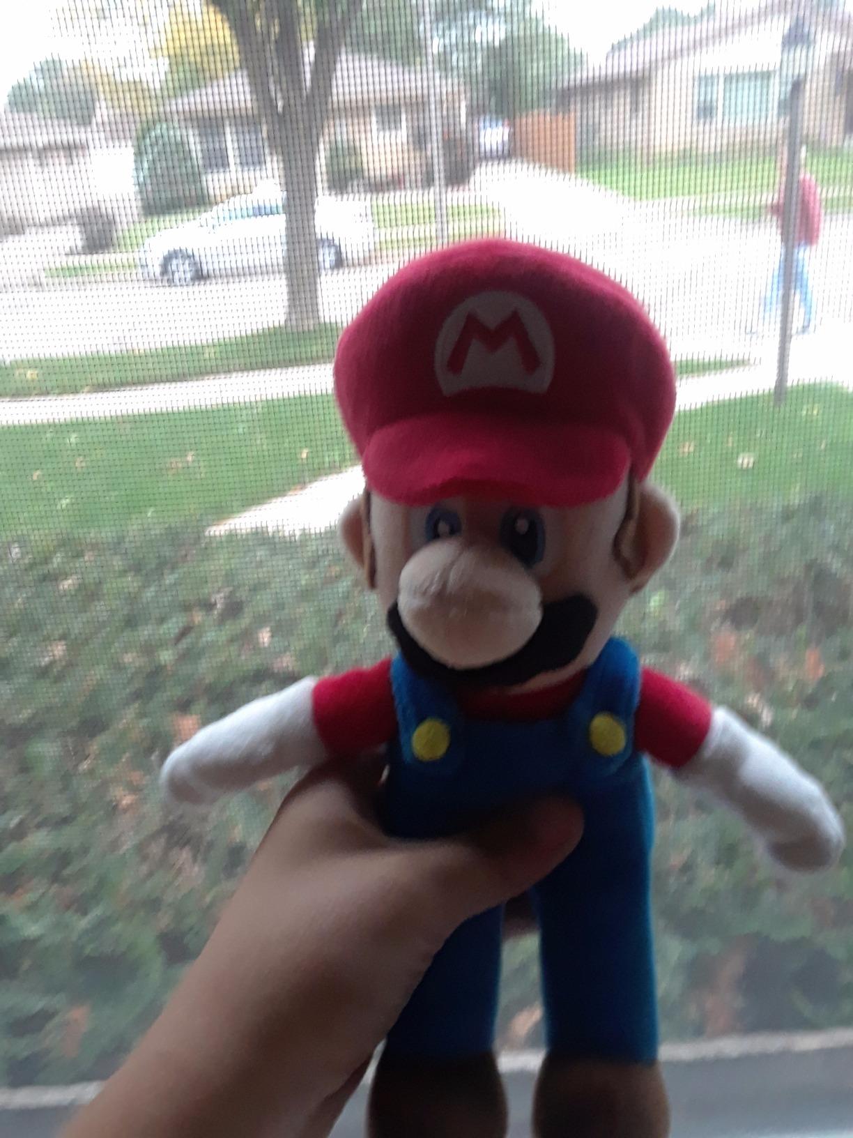 Amazon.com: Little Buddy Toys Nintendo Official Super Mario Plush, 8 ...