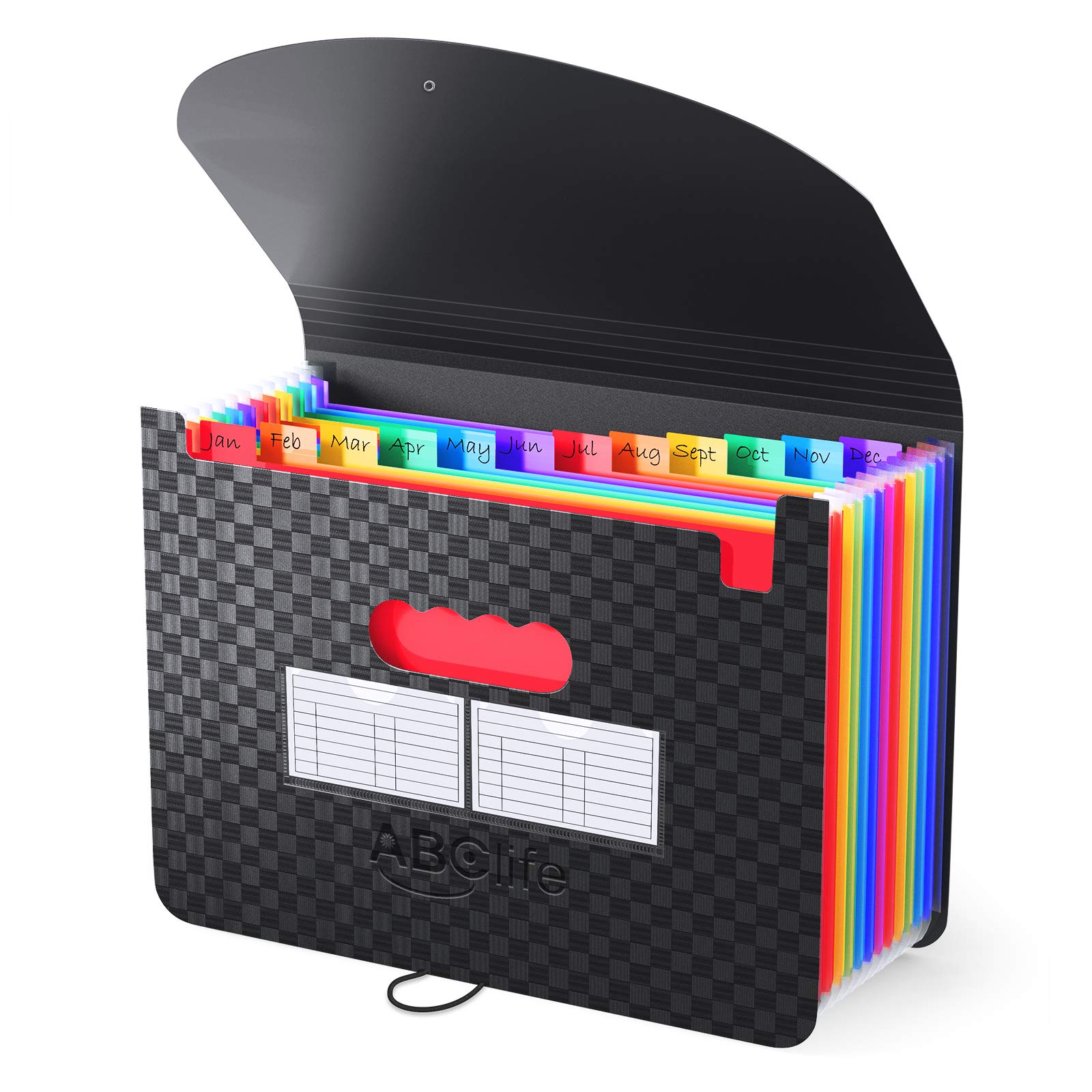 Buy ABC Life Accordian File Organizer 12 Pockets Expanding File Folder