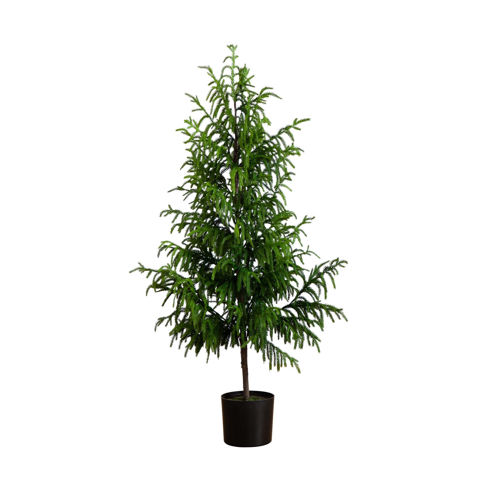 Amazon.com: Nearly Natural 5ft. Artificial Norfolk Pine Tree : Home ...