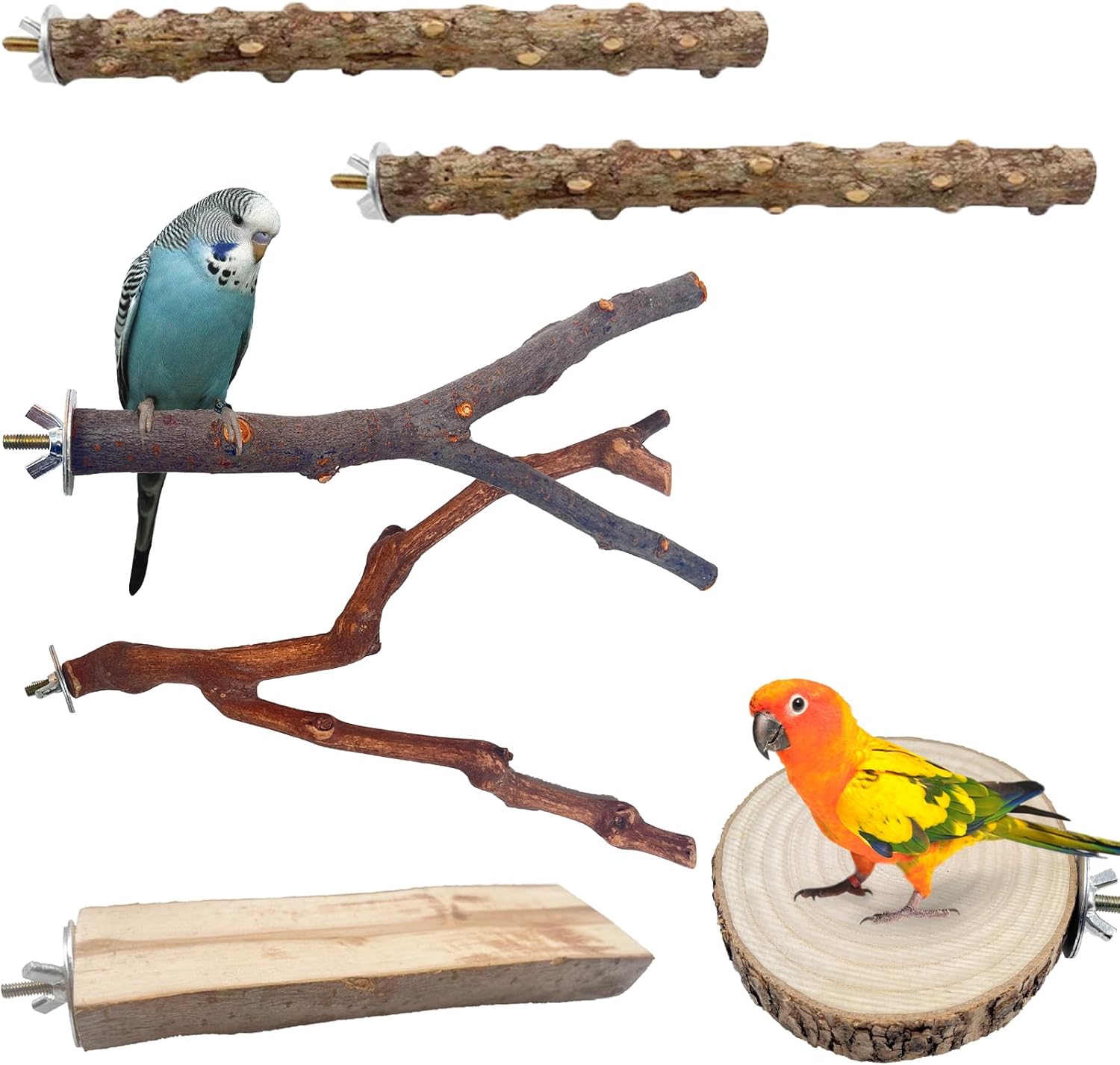 6 Pcs Bird Perches for Cage Natural Wood Parrot Budgie Perch O-Shaped ...