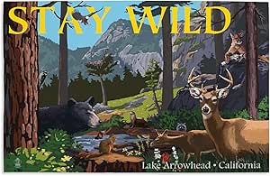 Amazon.com: Lantern Press 16x24 Inch Giclee Art Print Wall Decor, Lake ...