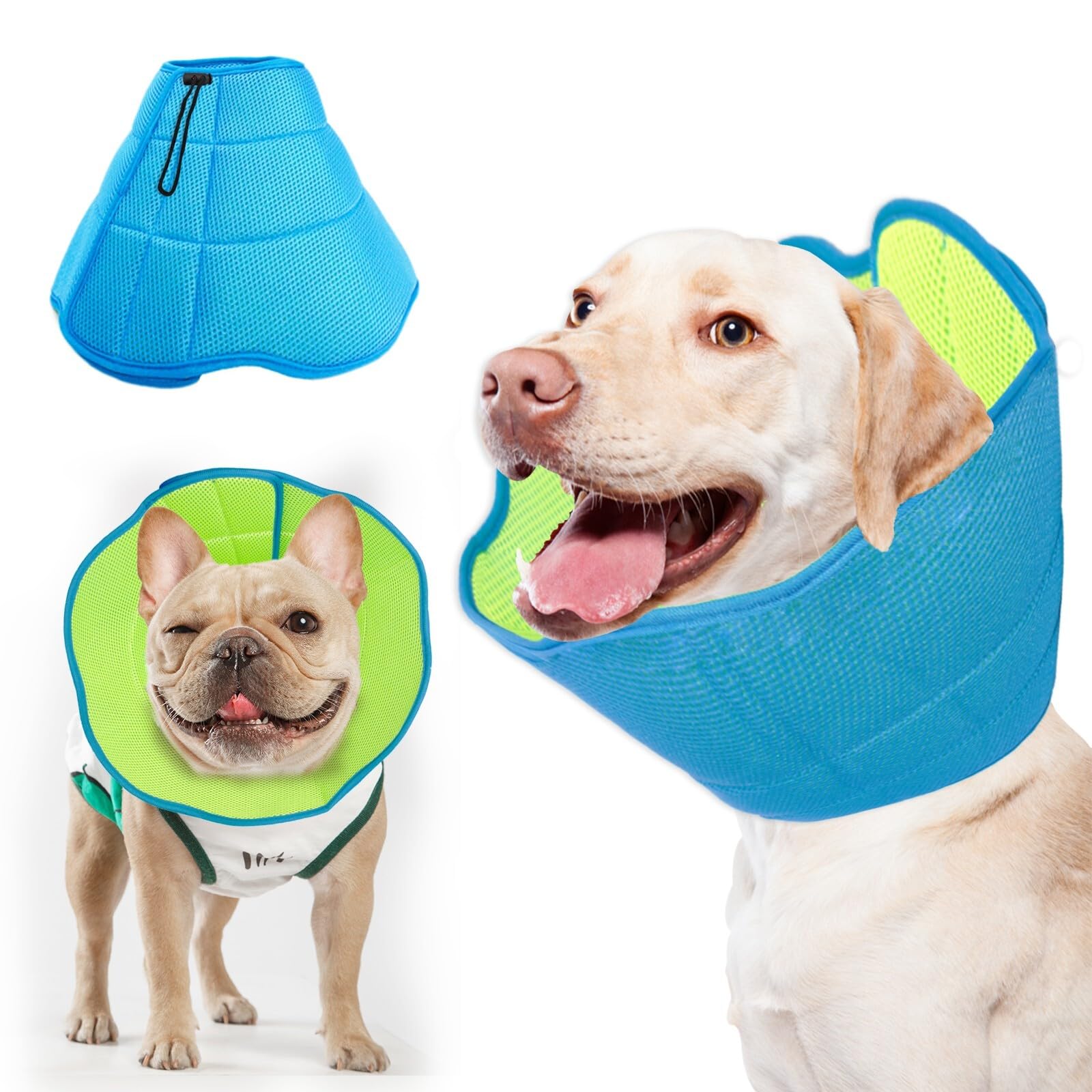 Amazon.com : Pawqeen Soft Cone for Mini Dogs Alternative After Surgery ...