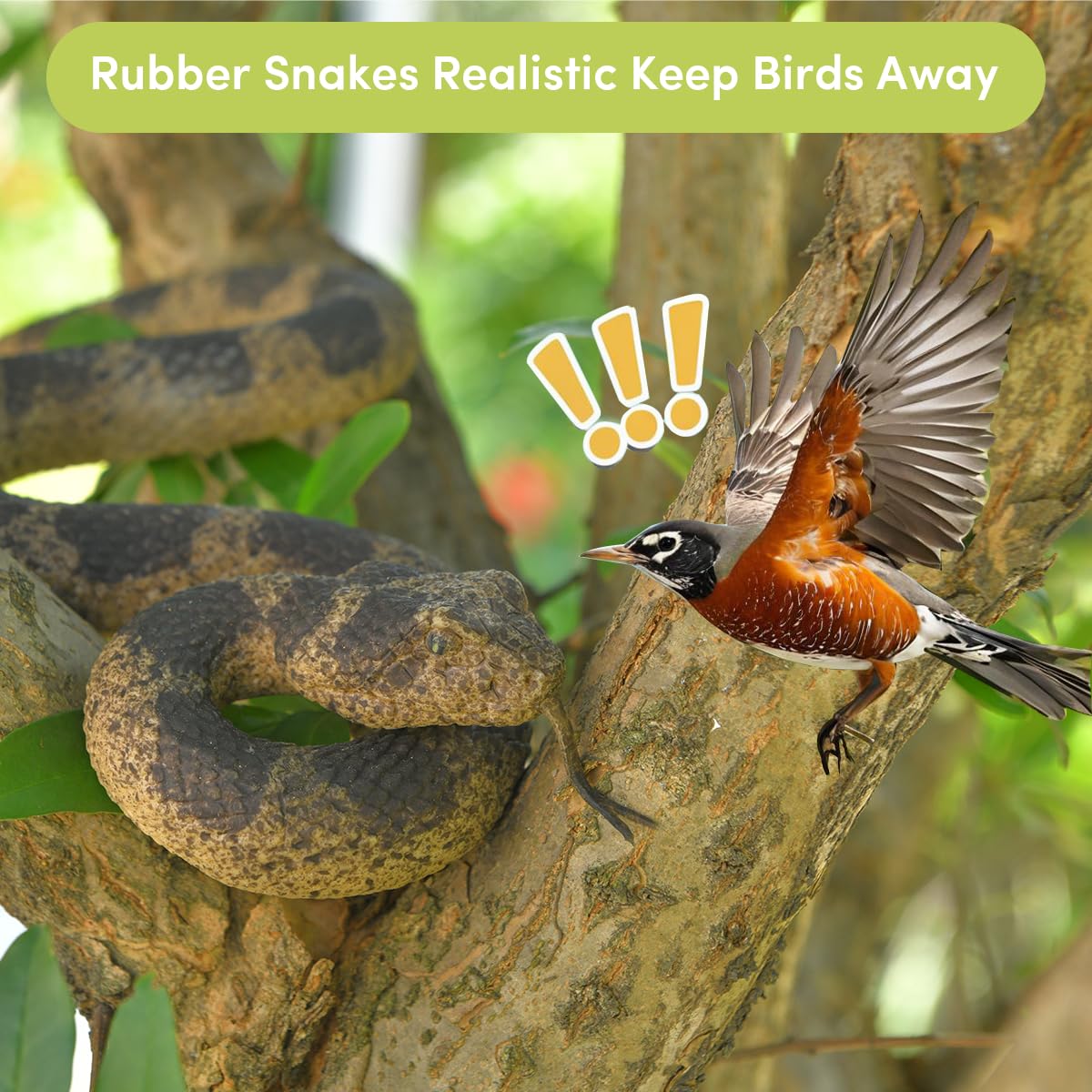 Snapklik.com : Realistic Fake Snakes Rubber Snakes Realistic Keep Birds ...