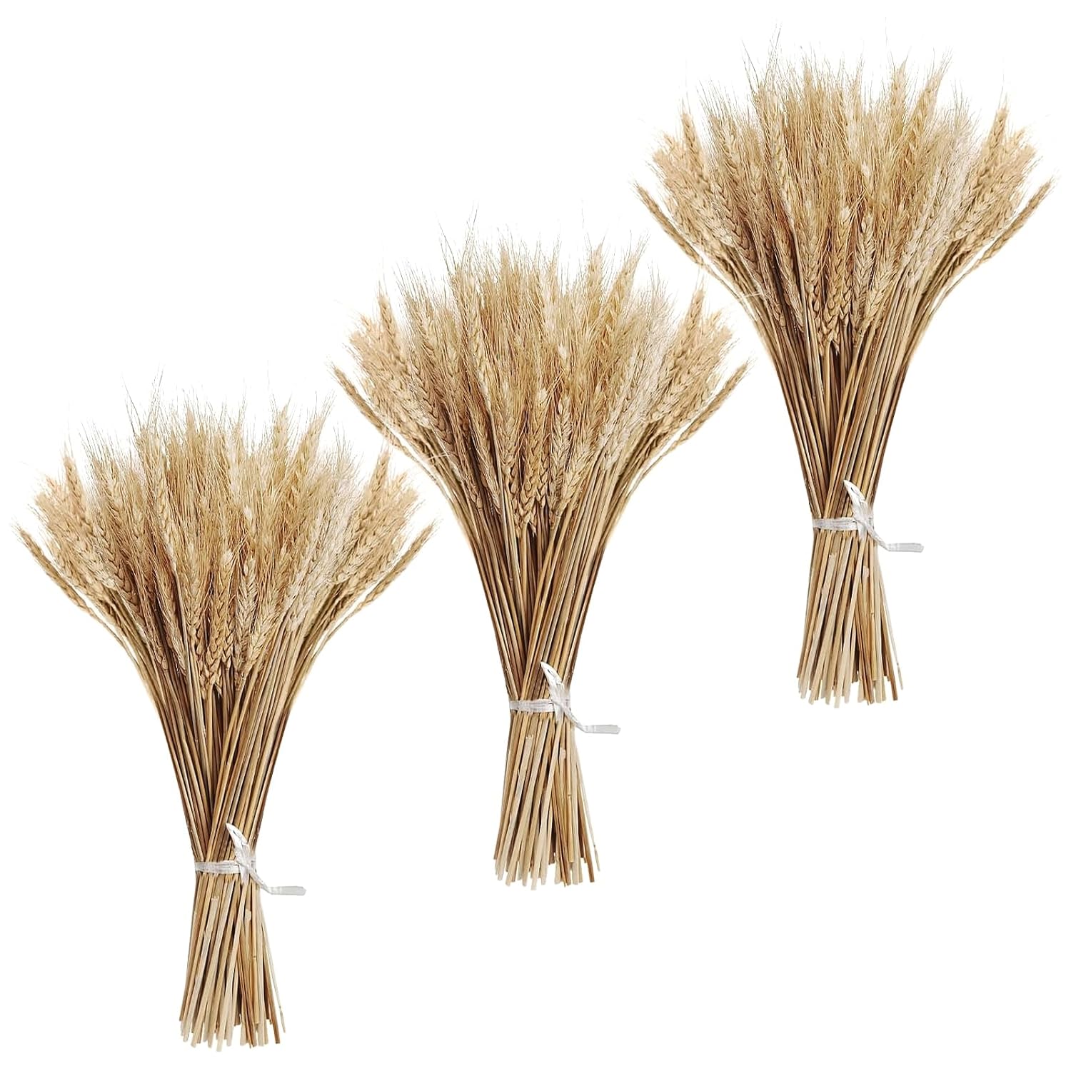 Amazon.com: MHMJON 300PCS Dried Wheat Stalks for Decor 16" Natural ...