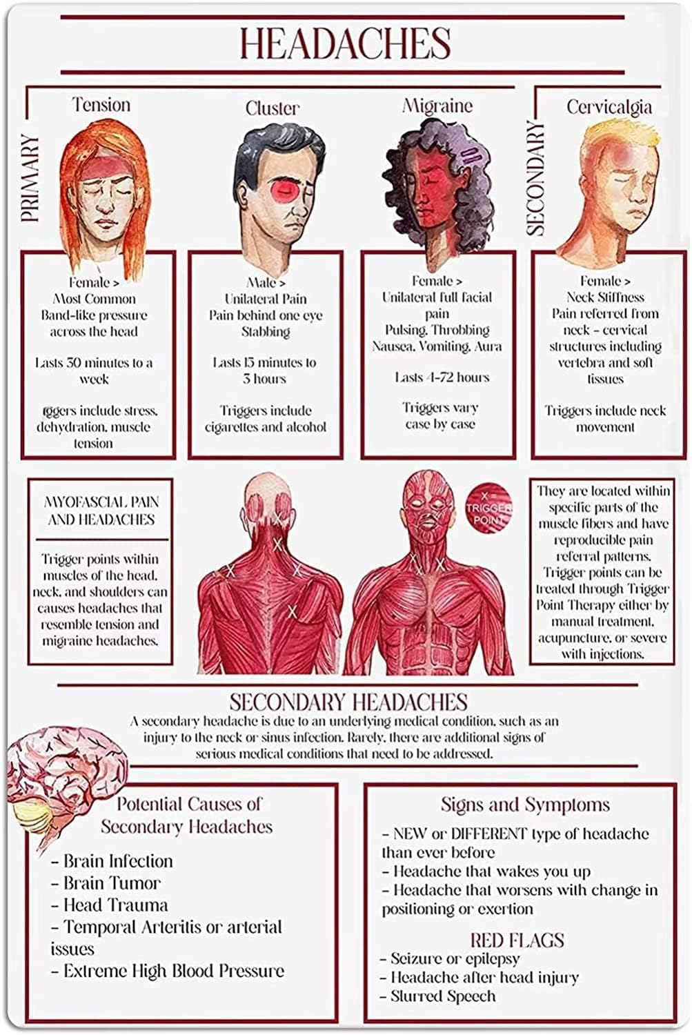 Amazon.com: Youpinnong Headaches Infographic Metal Signs Wall Decor ...