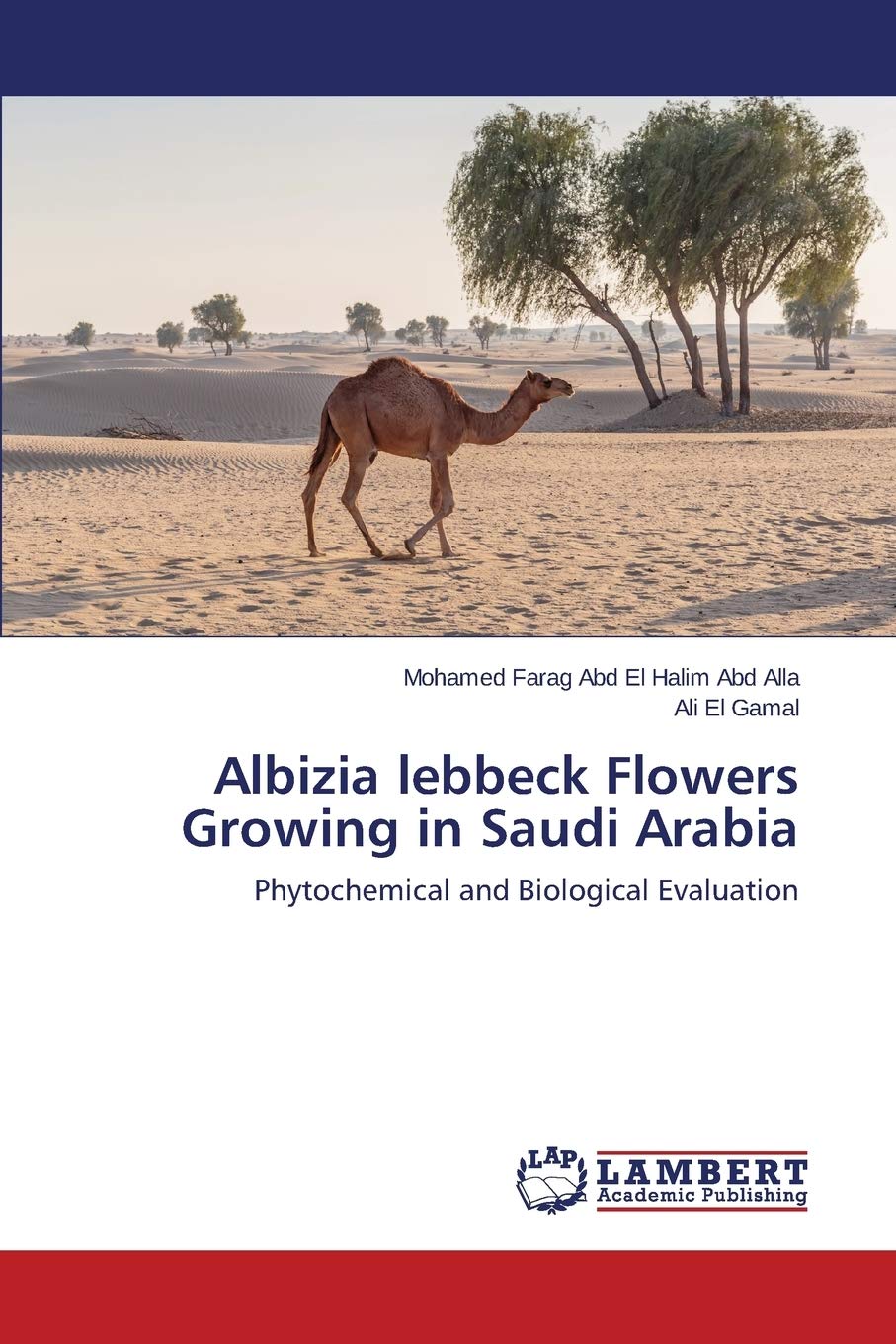 Snapklik.com : Albizia Lebbeck Flowers Growing In Saudi Arabia ...