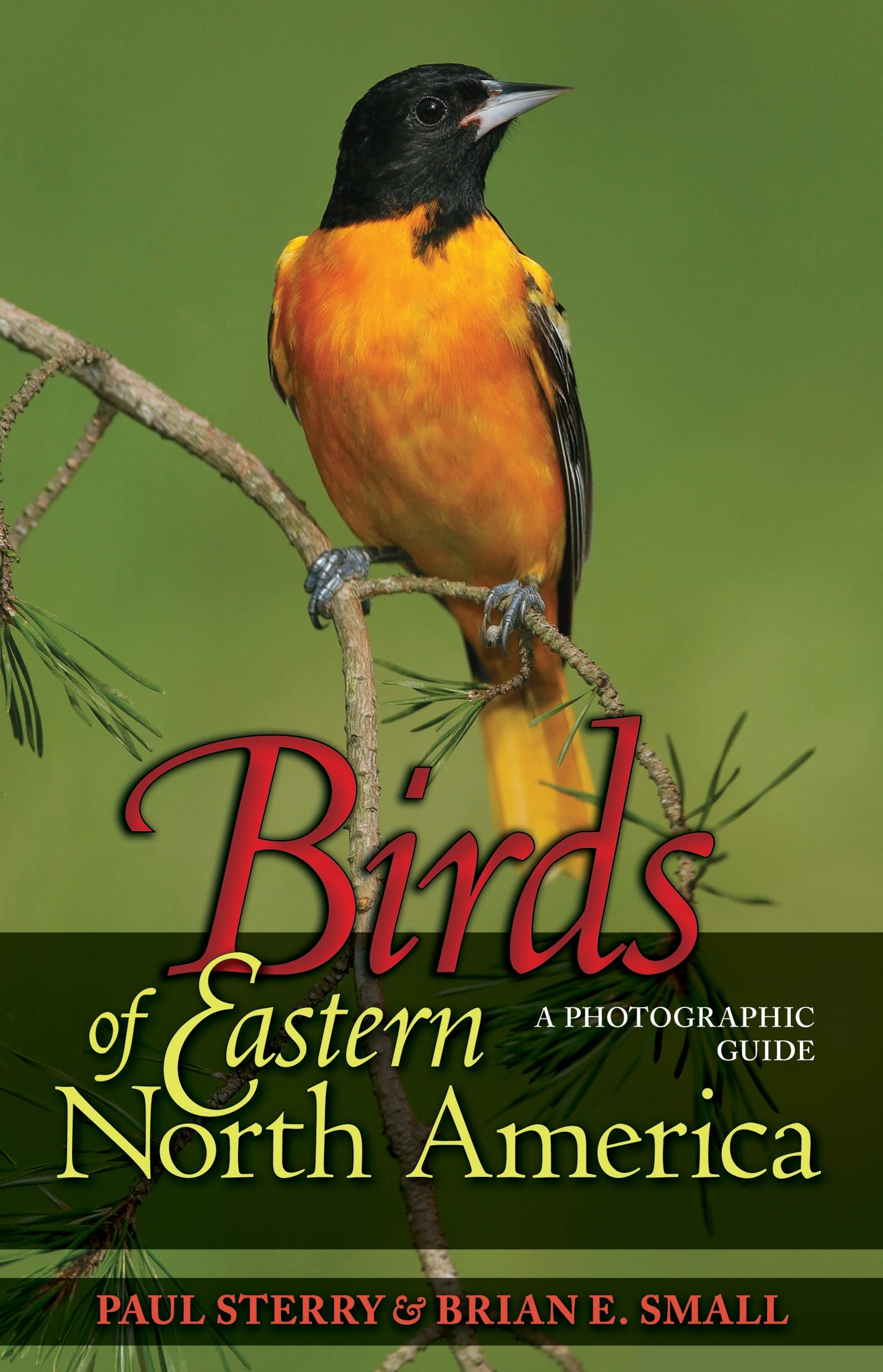 Birds Of Eastern North America Birds Of Eastern North America Playing