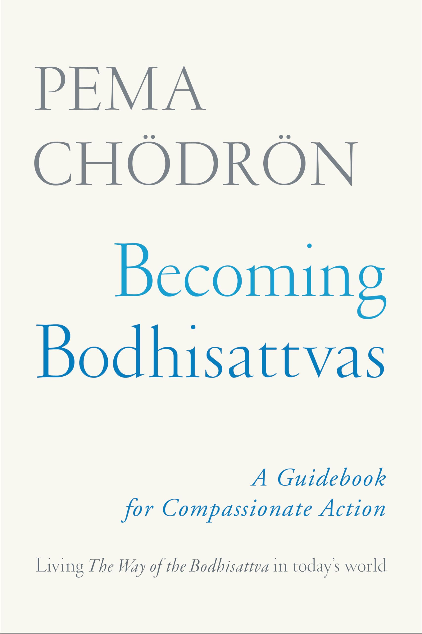 Amazon.com: Becoming Bodhisattvas: A Guidebook for Compassionate Action ...