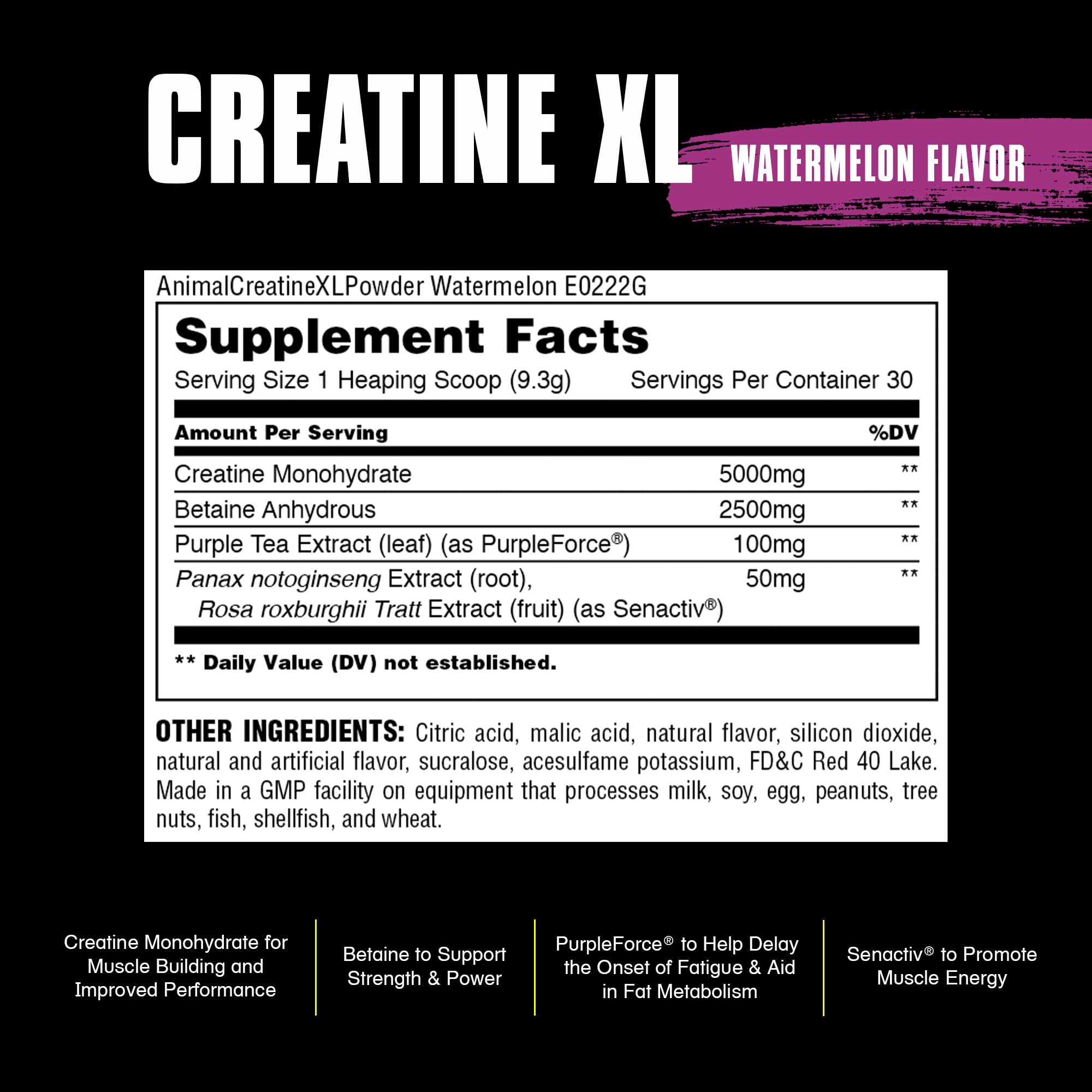 Animal Creatine XL Powder - Enhanced Creatine Monohydrate Supplement ...