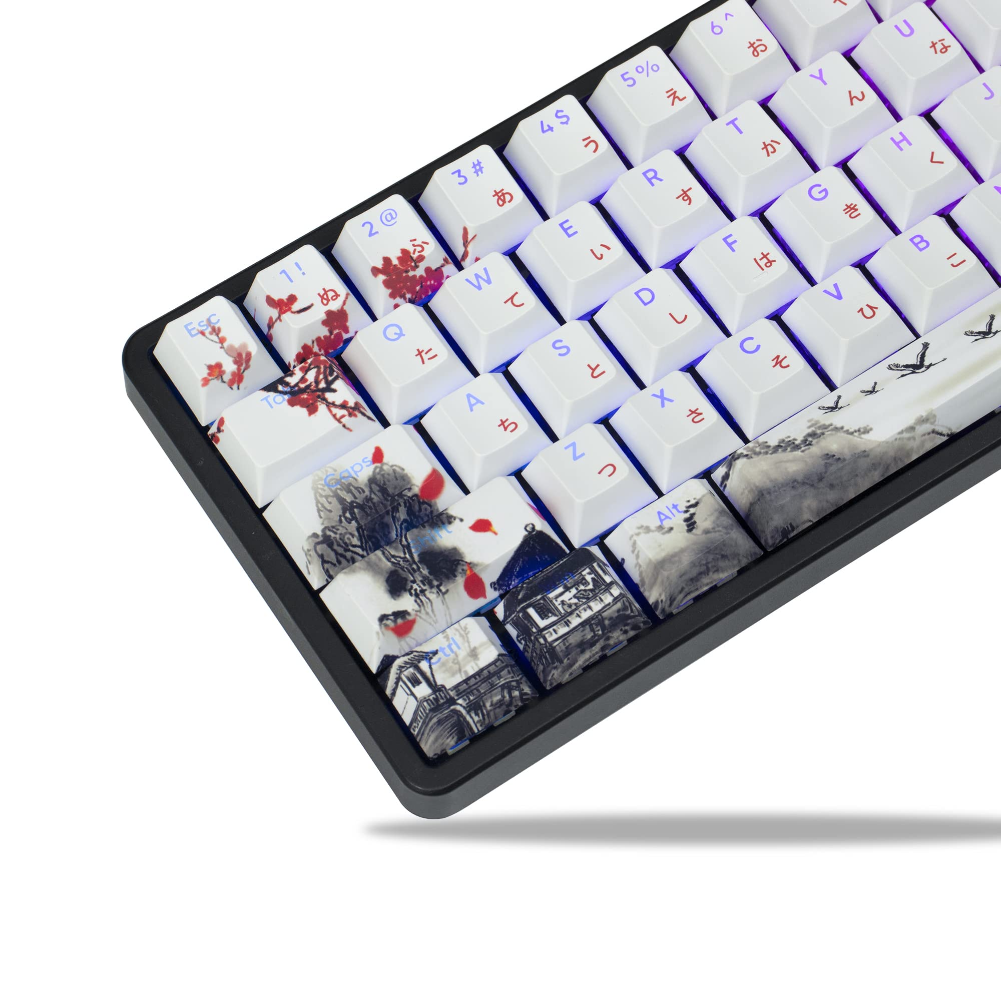 XVX Shine Through Keycaps - PBT Japanese Keycaps, 127 Keys Plum Blossom ...