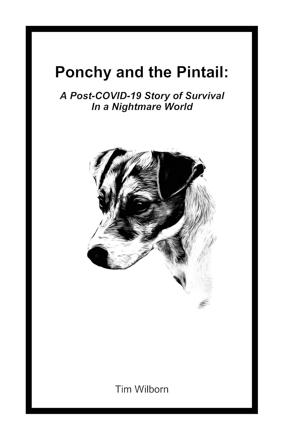 Amazon.com: Ponchy and the Pintail: A Post-COVID-19 Story of Survival ...