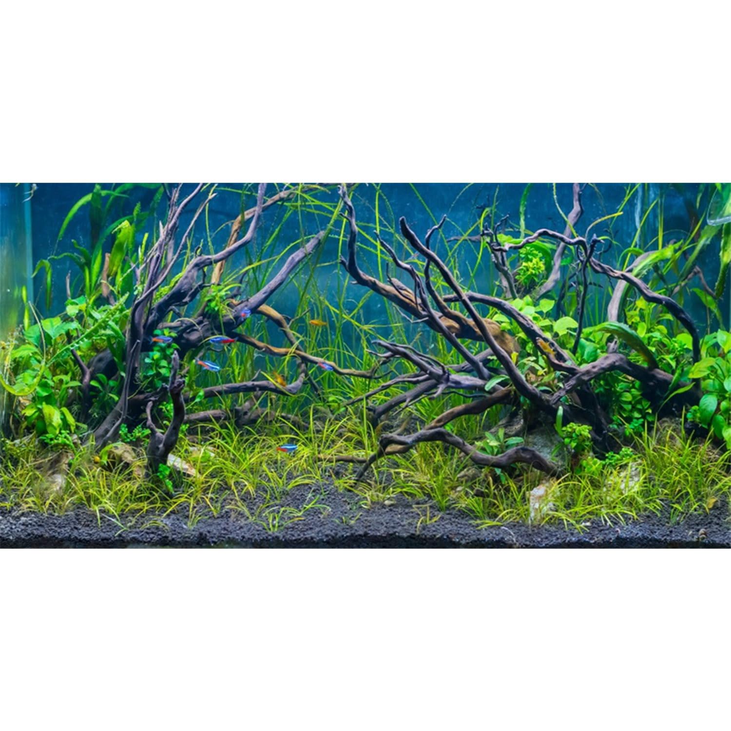 Snapklik.com : 60x24 Inches Tropical Fish Tank Background River Bed ...