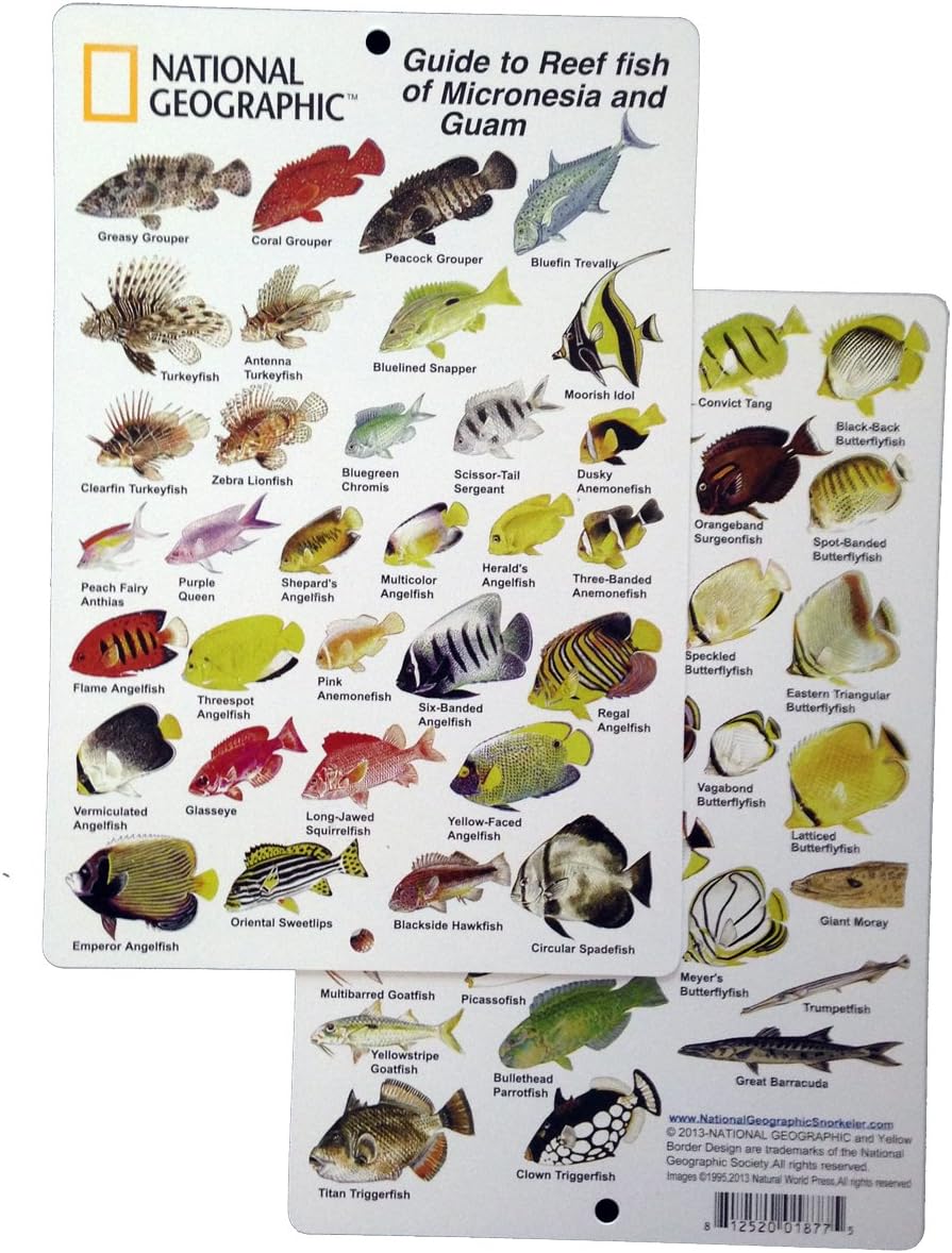 Amazon.com : National Geographic - Guide to Reef fish of Micronesia and ...