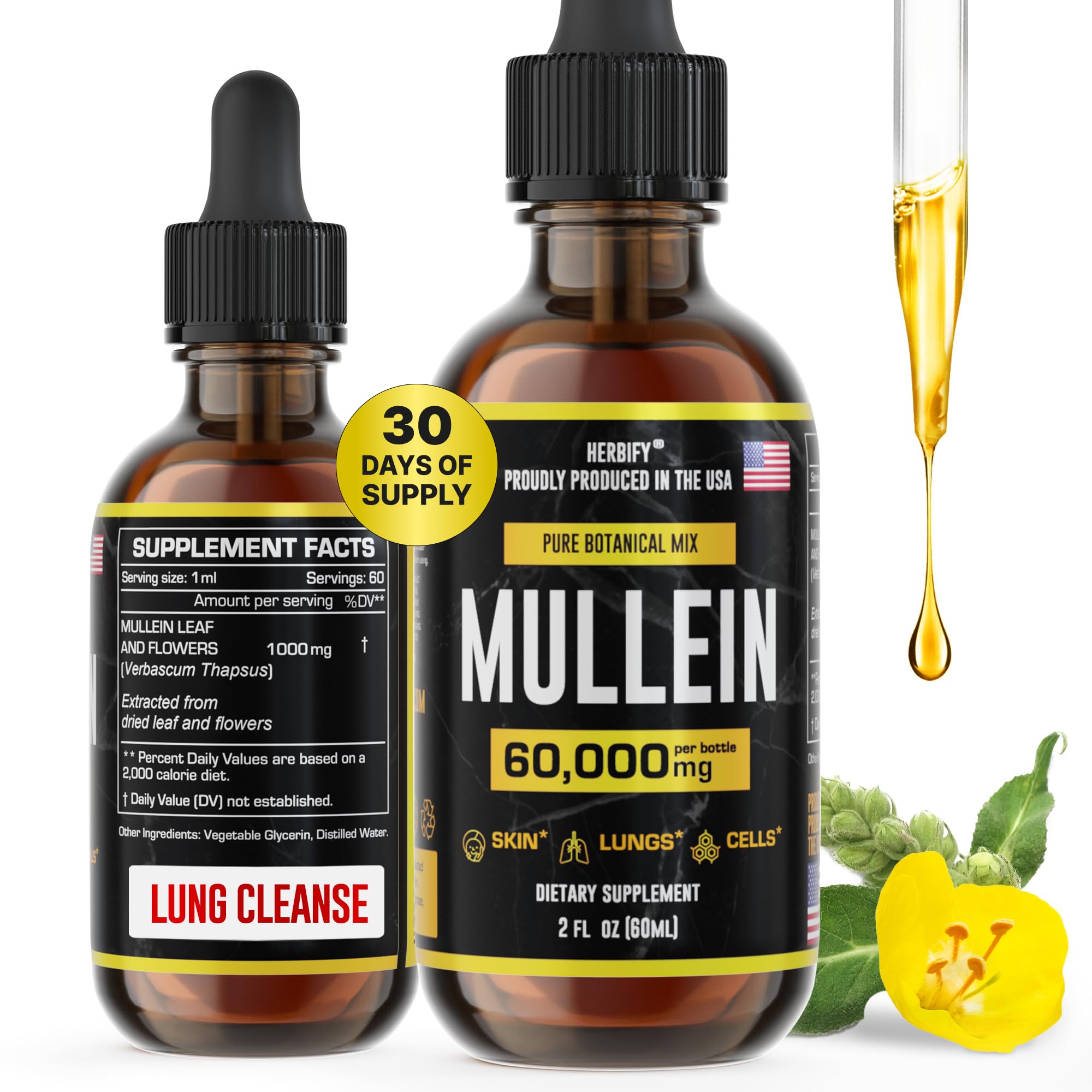 Amazon.com: HERBIFY Mullein Extract 2 oz, Alcohol-Free Tincture for ...