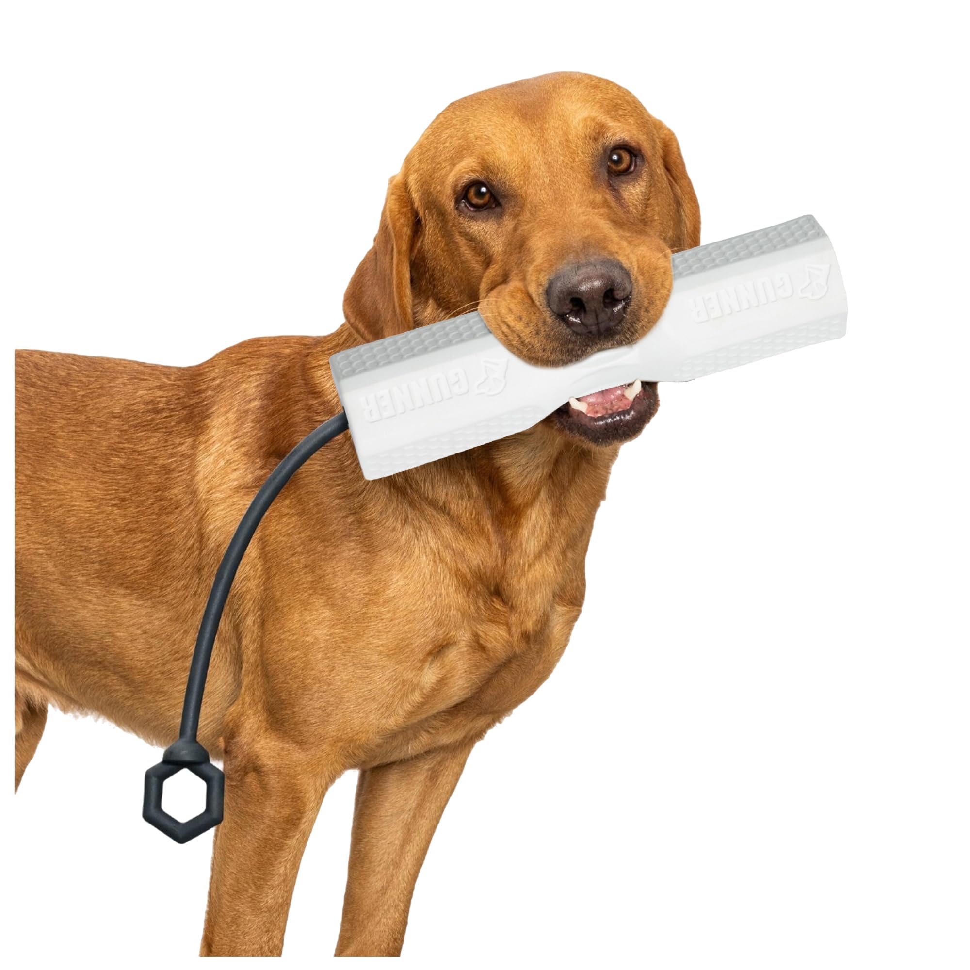 Amazon.com : GUNNER Dog Training Bumper - Dog Retriever Training Dummy ...